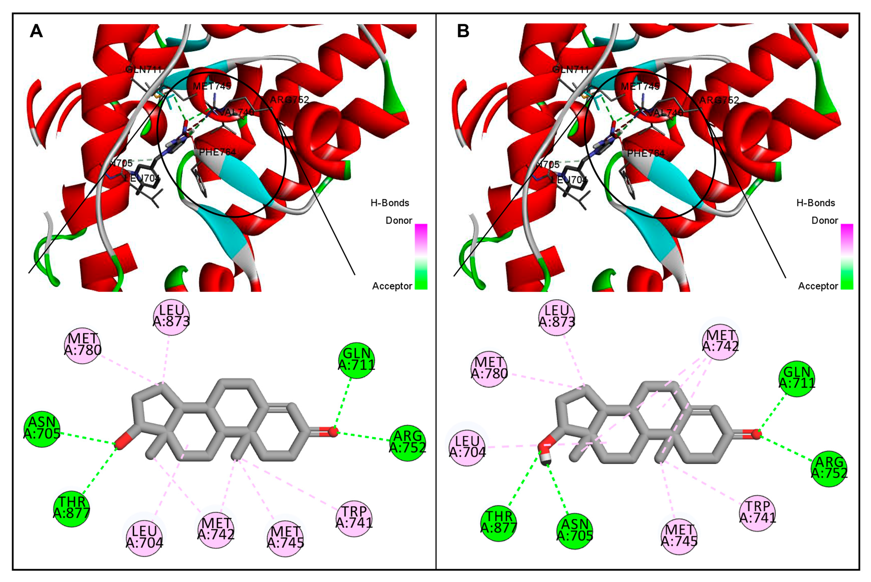 Neonicotinoids and the Androgen Receptor: Structural Dynamics and ...