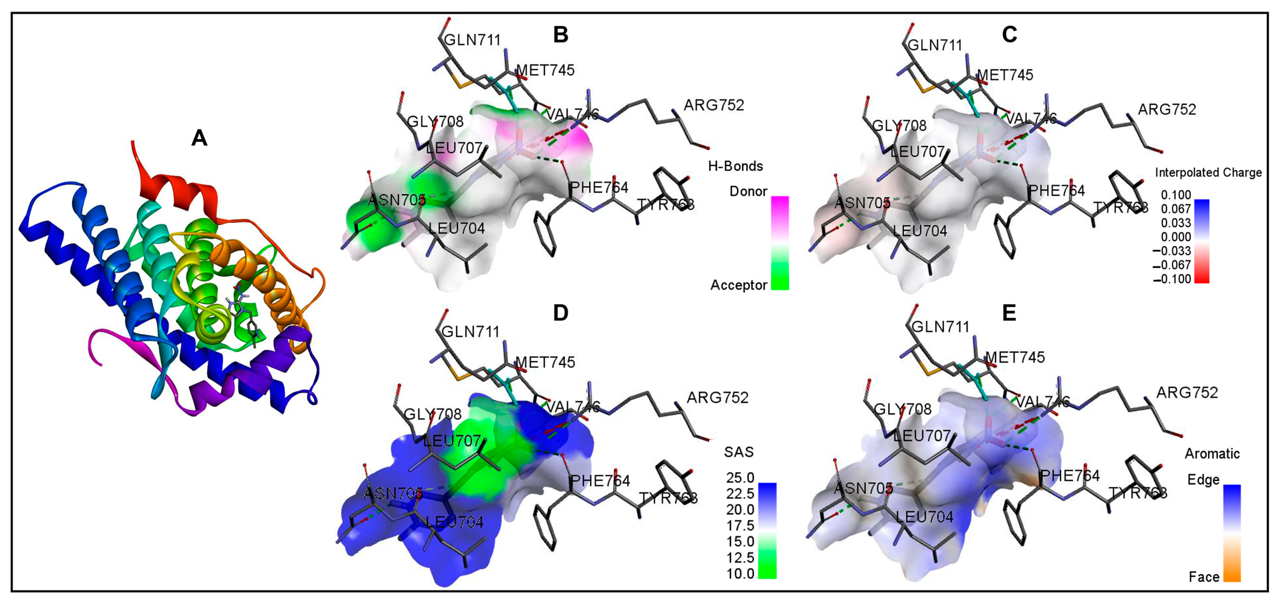 Neonicotinoids and the Androgen Receptor: Structural Dynamics and ...