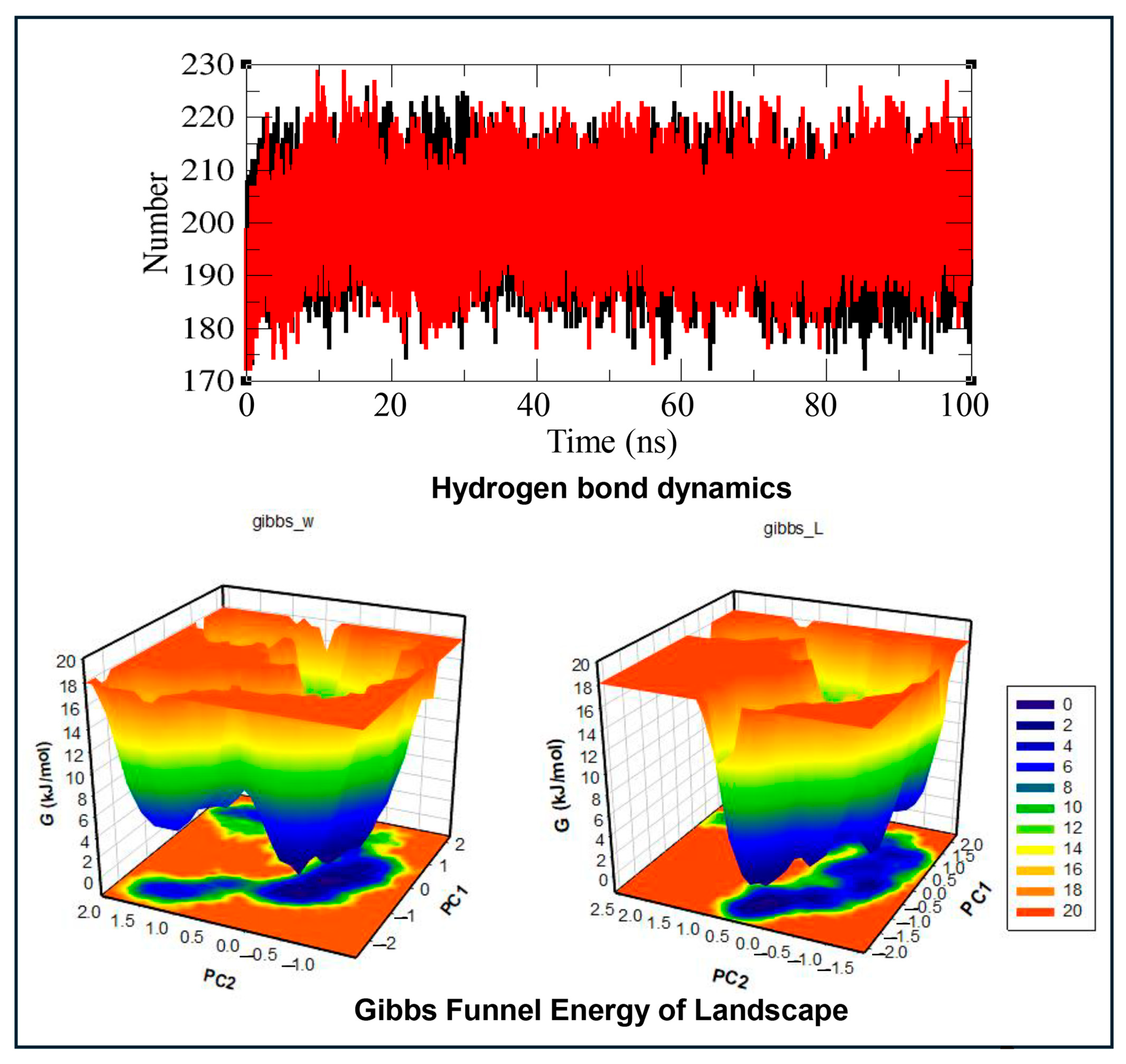 Neonicotinoids and the Androgen Receptor: Structural Dynamics and ...