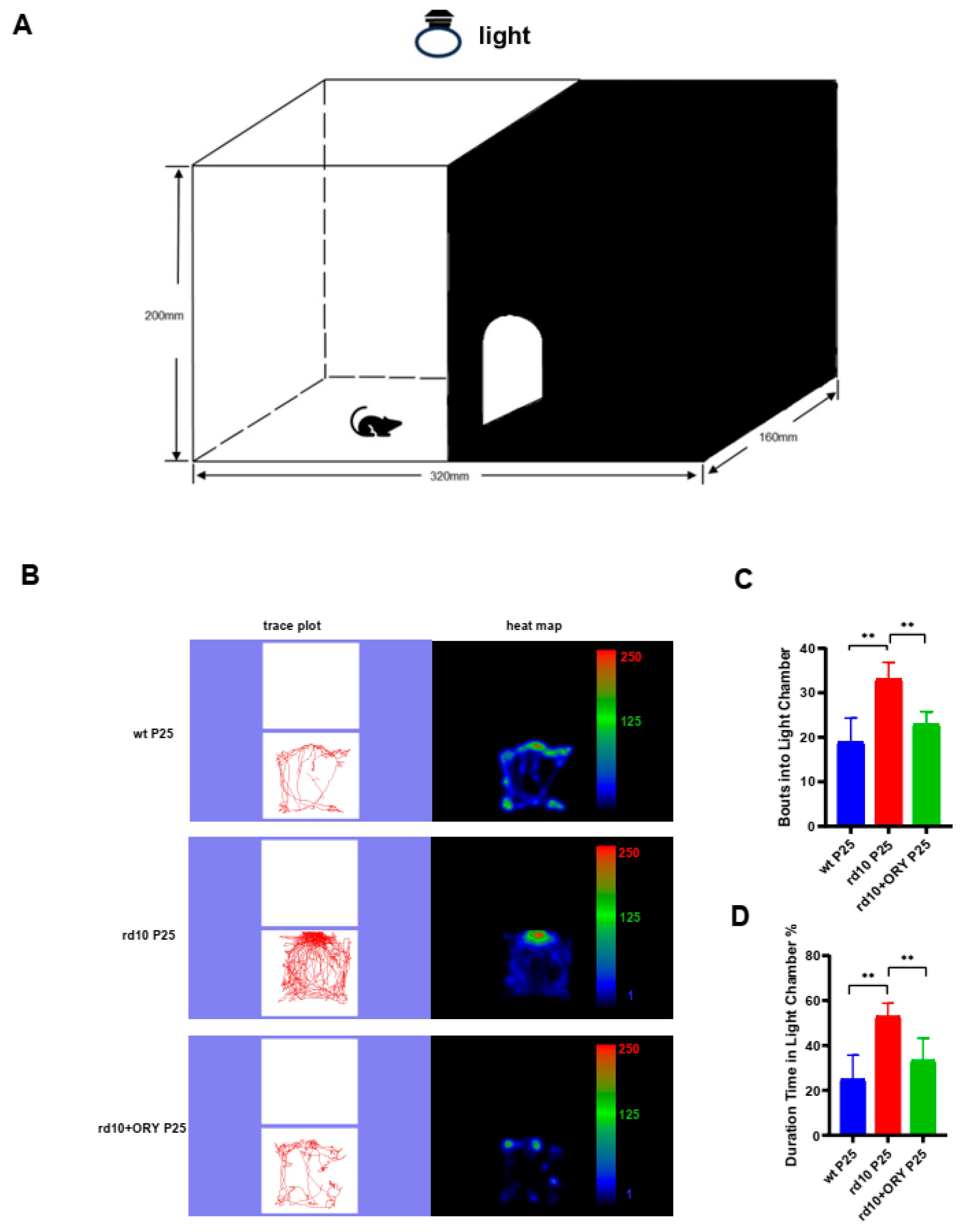 ORY-1001 Delays Retinal Photoreceptor Degeneration in rd10 Mice by ...
