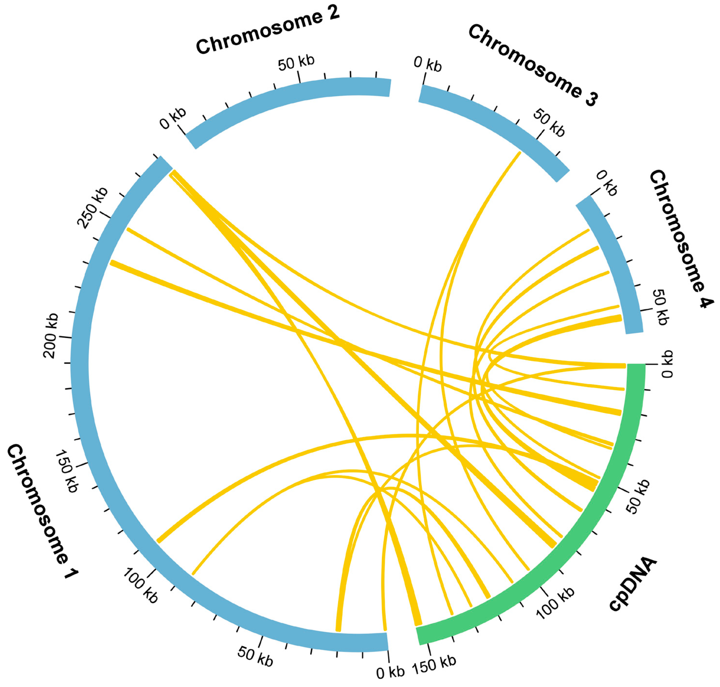 The Complete Mitochondrial Genome of the Dioscorea opposita Thunb. cv ...