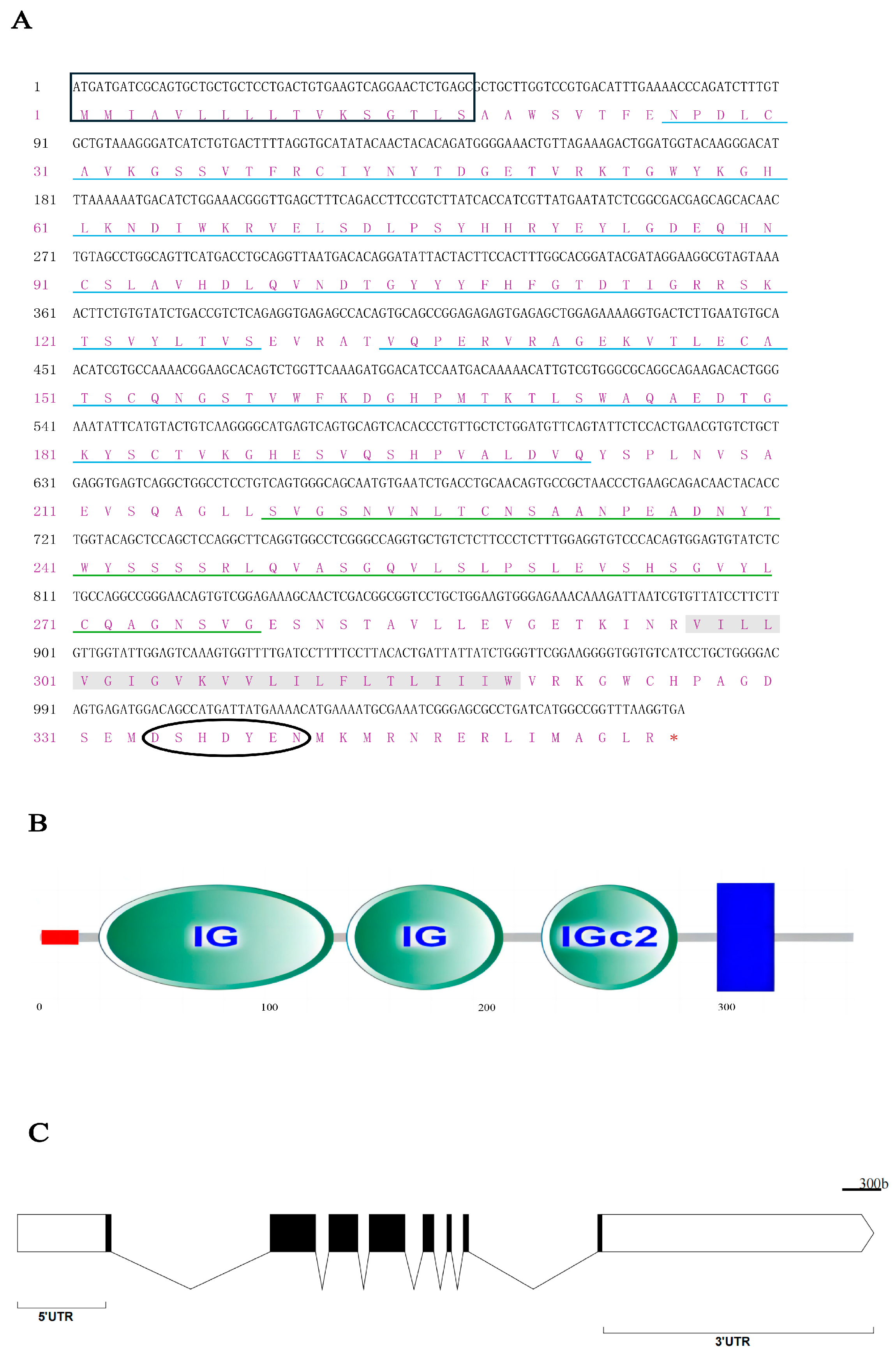 Molecular Characterization and Expression Analysis of CD22 in Nile ...