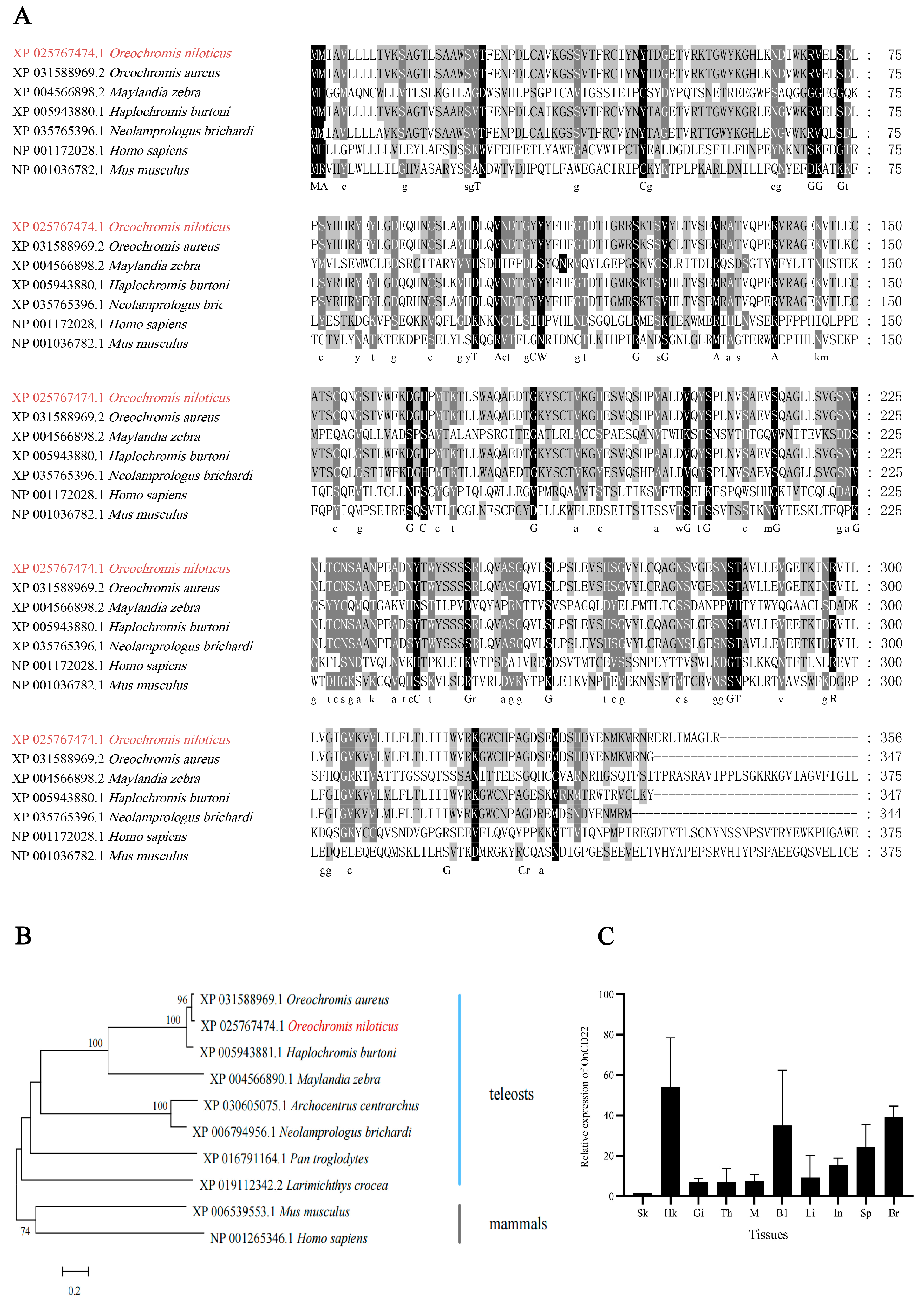 Molecular Characterization and Expression Analysis of CD22 in Nile ...