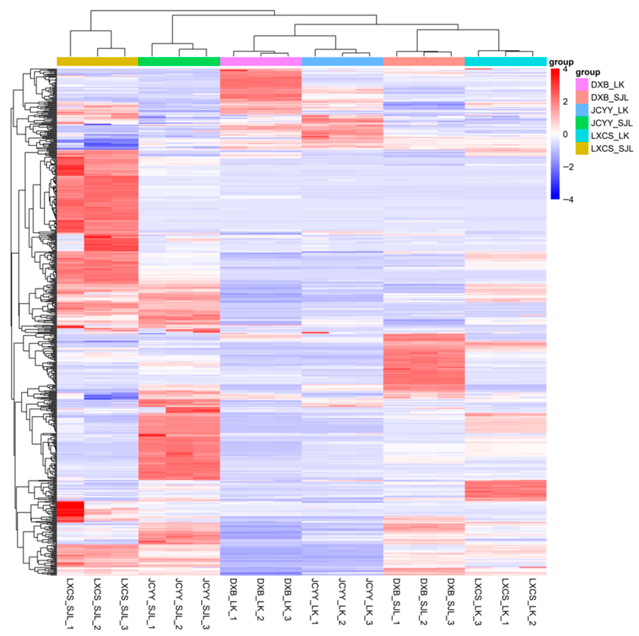 Lipidomic Profiling of Dechorionated Fertilized Eggs and Egg Chorion in ...