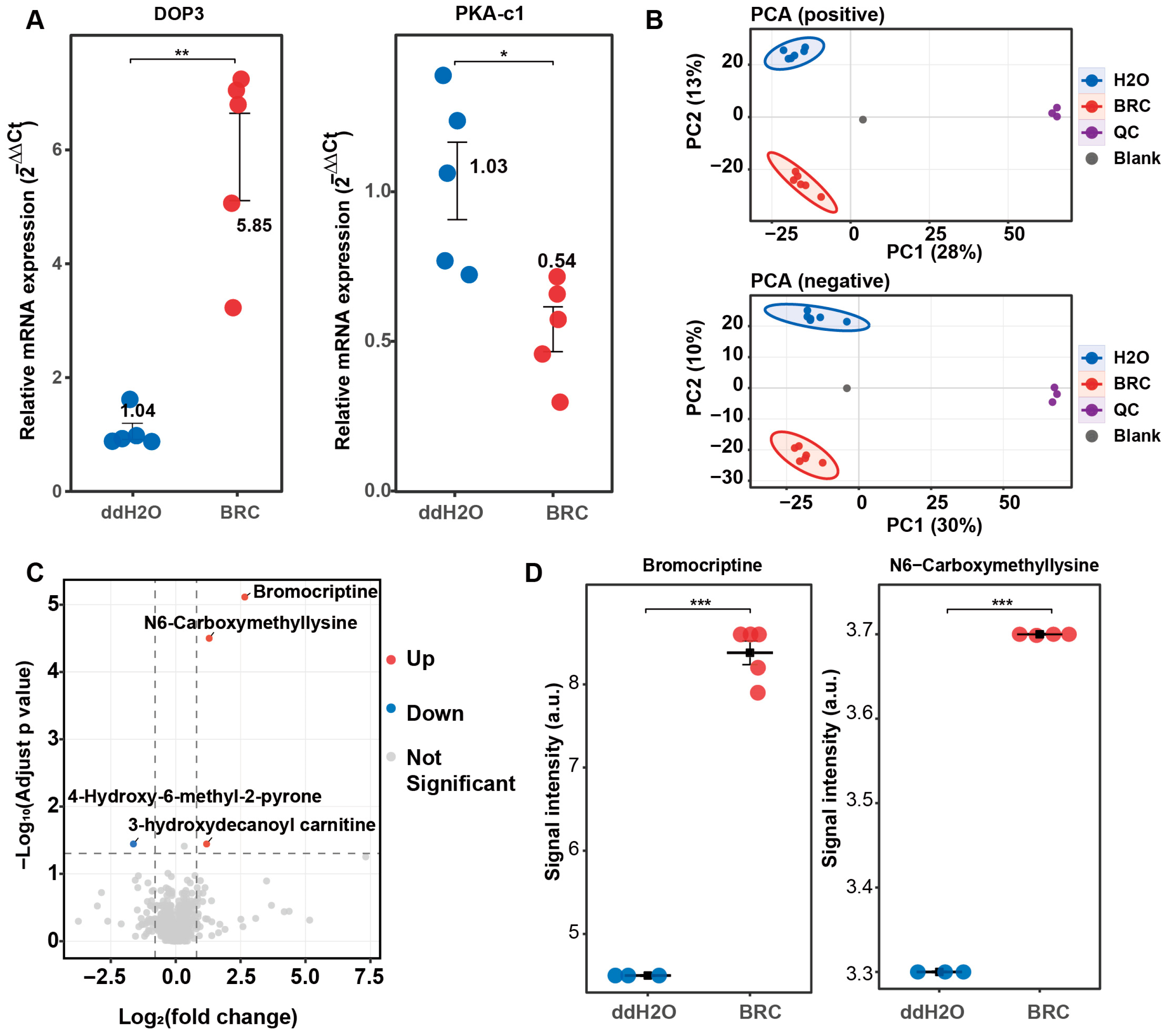 Metabolic Landscape and Cell-Type-Specific Transcriptional Signatures ...