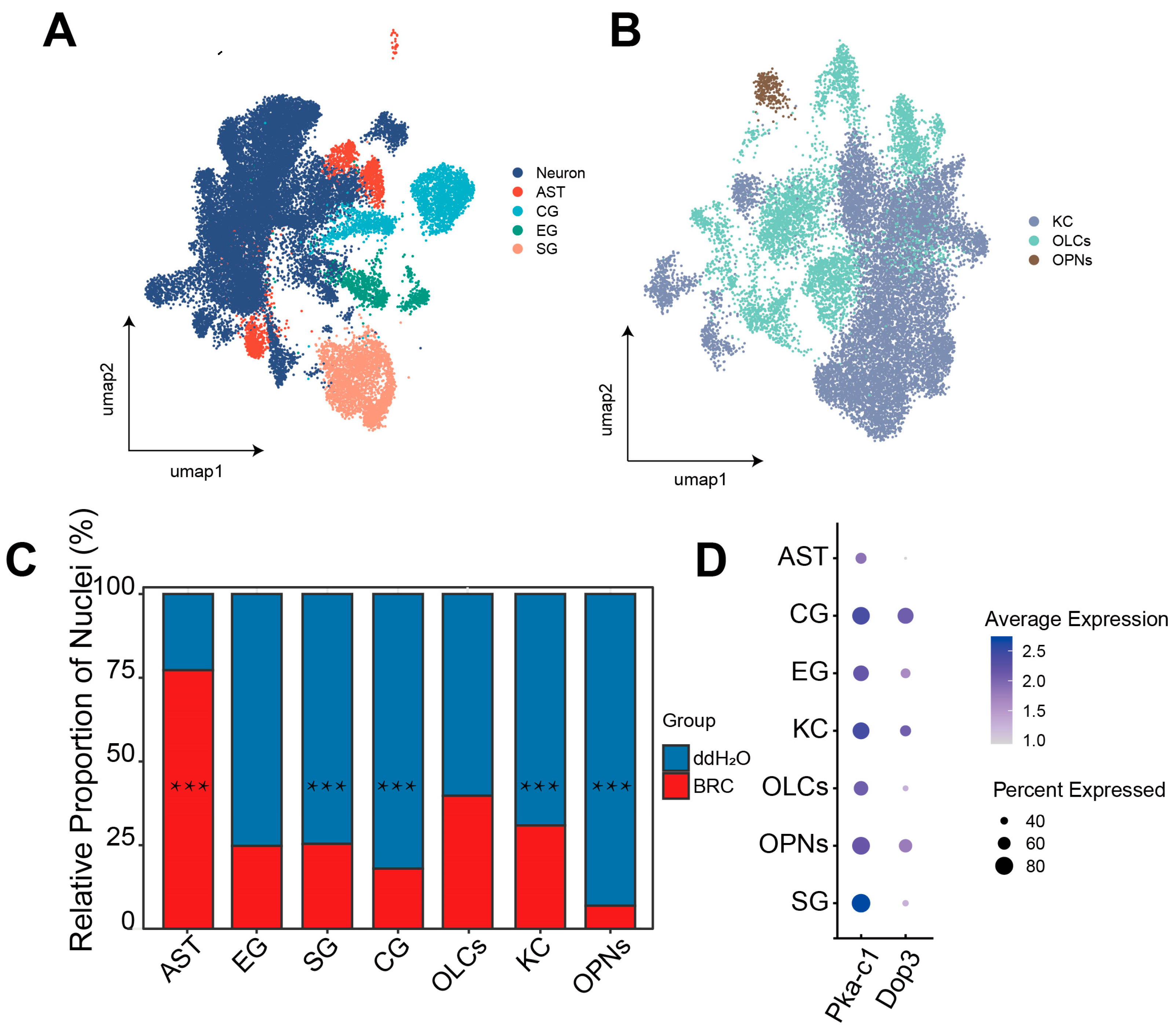 Metabolic Landscape and Cell-Type-Specific Transcriptional Signatures ...