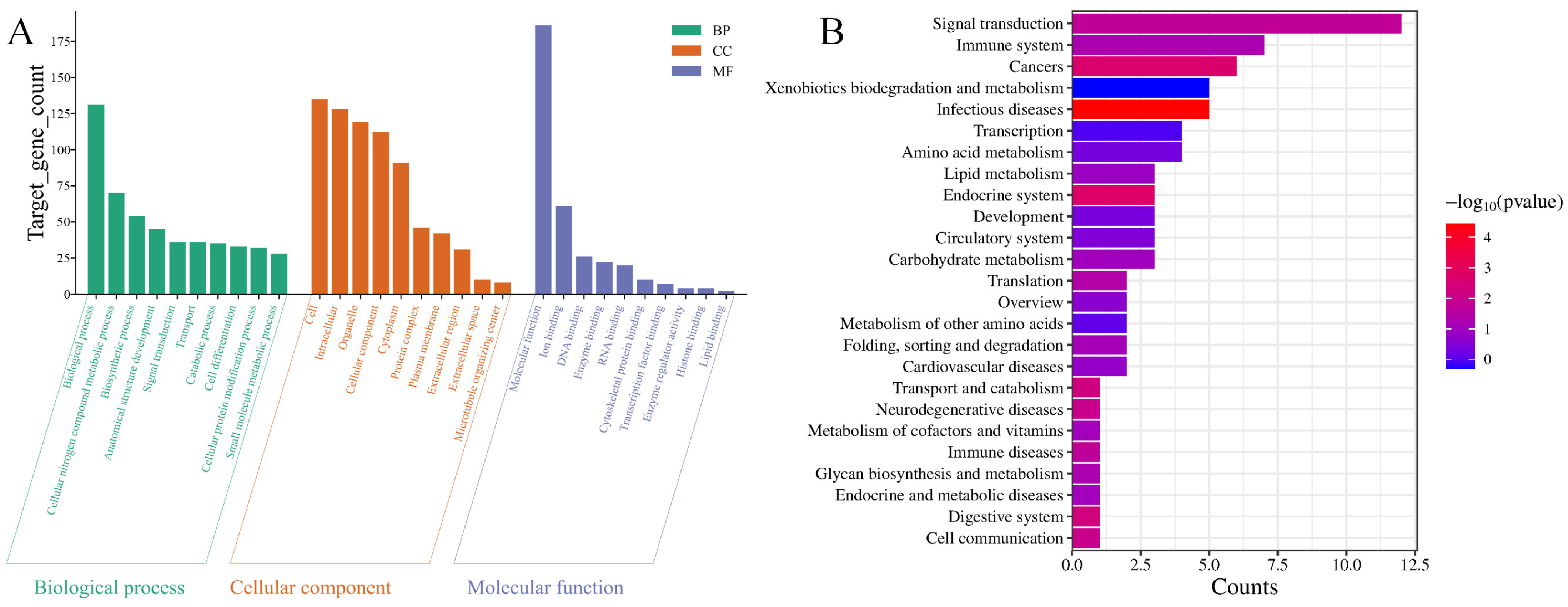 Deciphering the Regulatory Network of Tail Fat Deposition in Large- and ...
