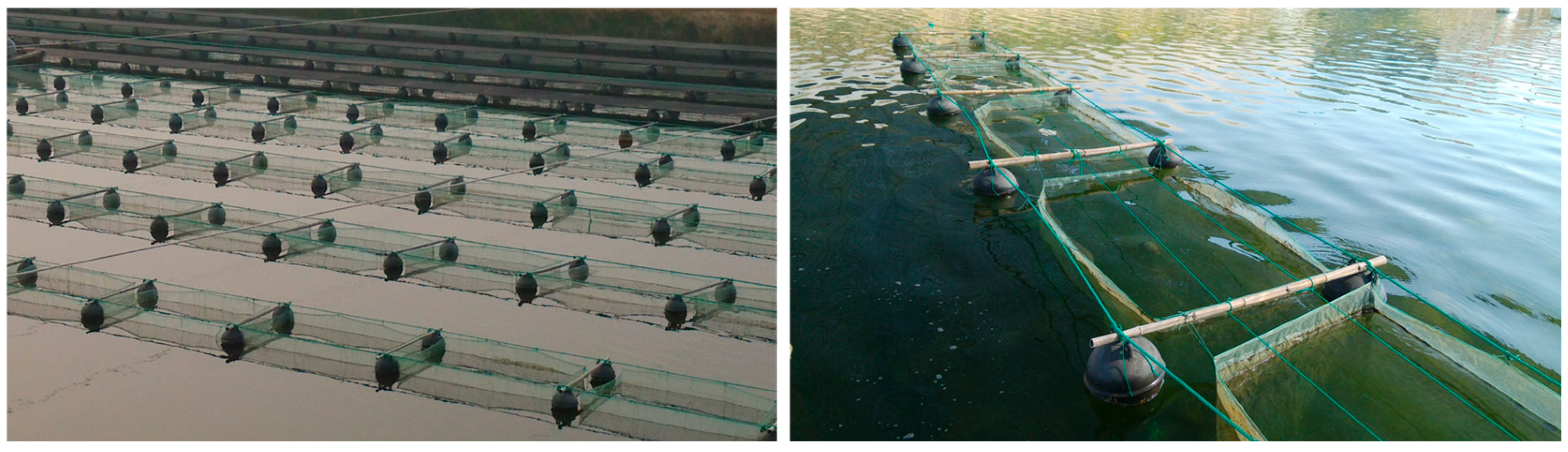 The Effects of Different Substrates in Pond Net Cages on the Succession ...