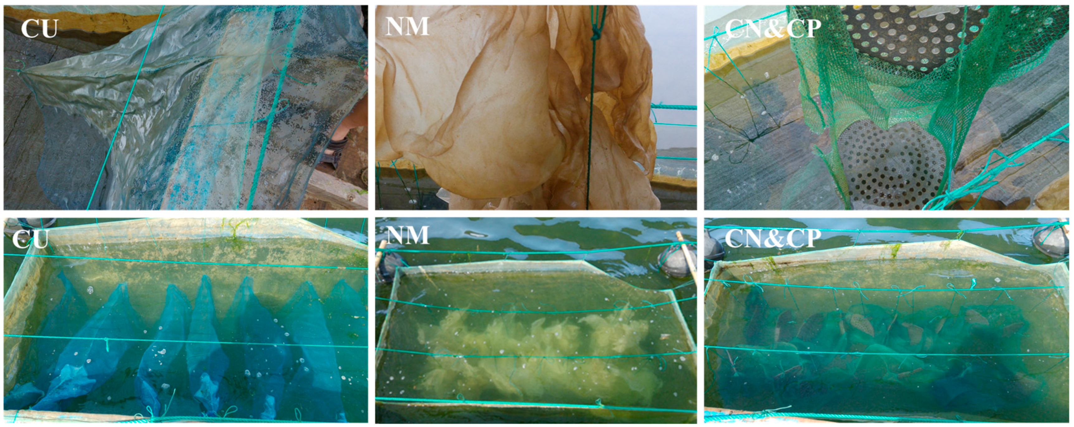 The Effects of Different Substrates in Pond Net Cages on the Succession ...
