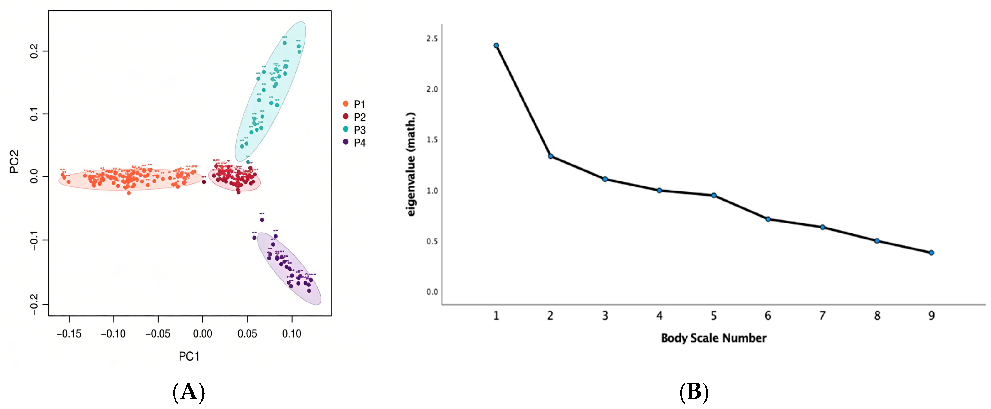Screening Candidate Genes for Body Size Traits in Dongfeng Sika Deer ...