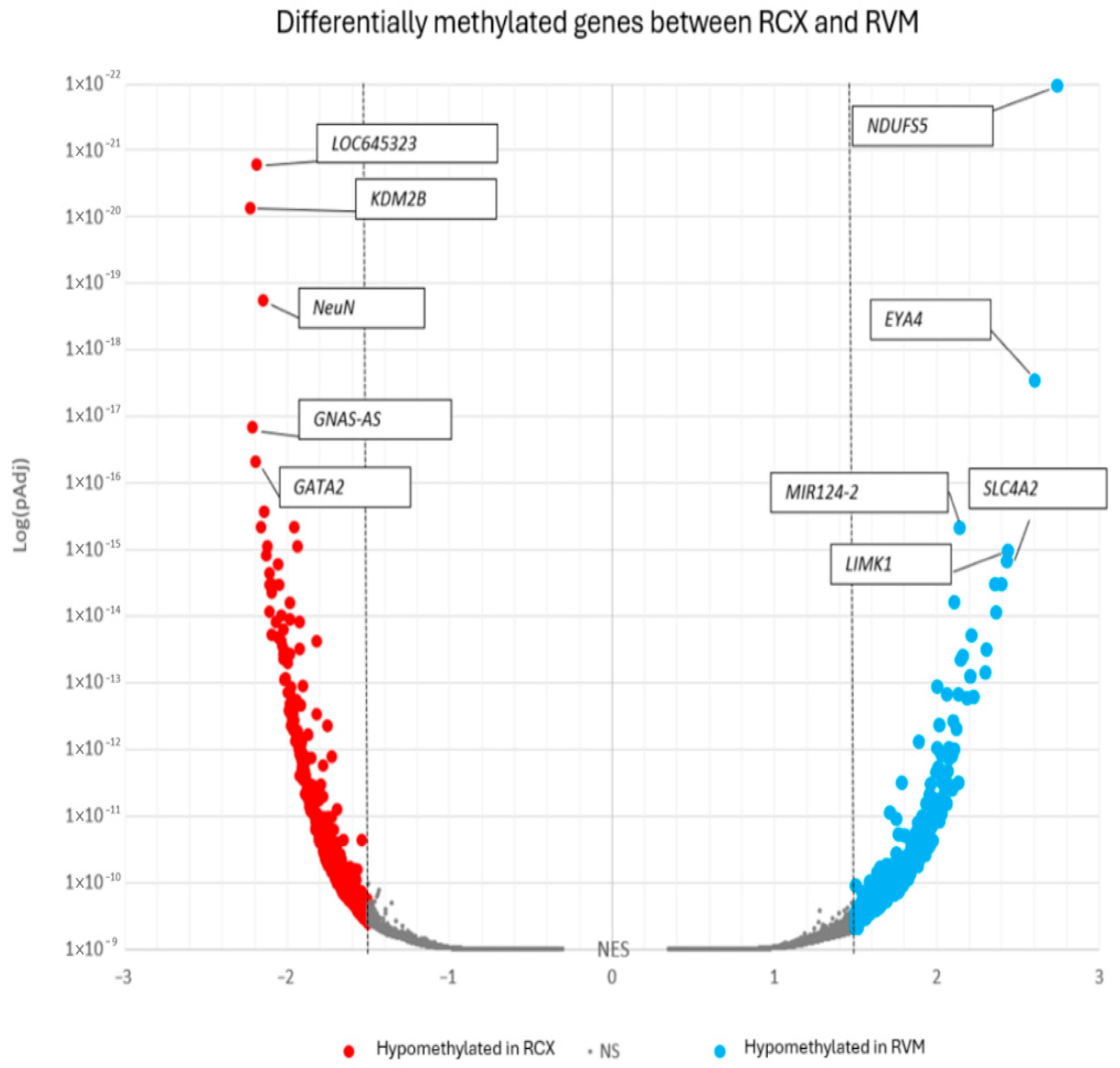 DNA Methylation Landscape of ReNcell Common Neural Progenitor Cell ...