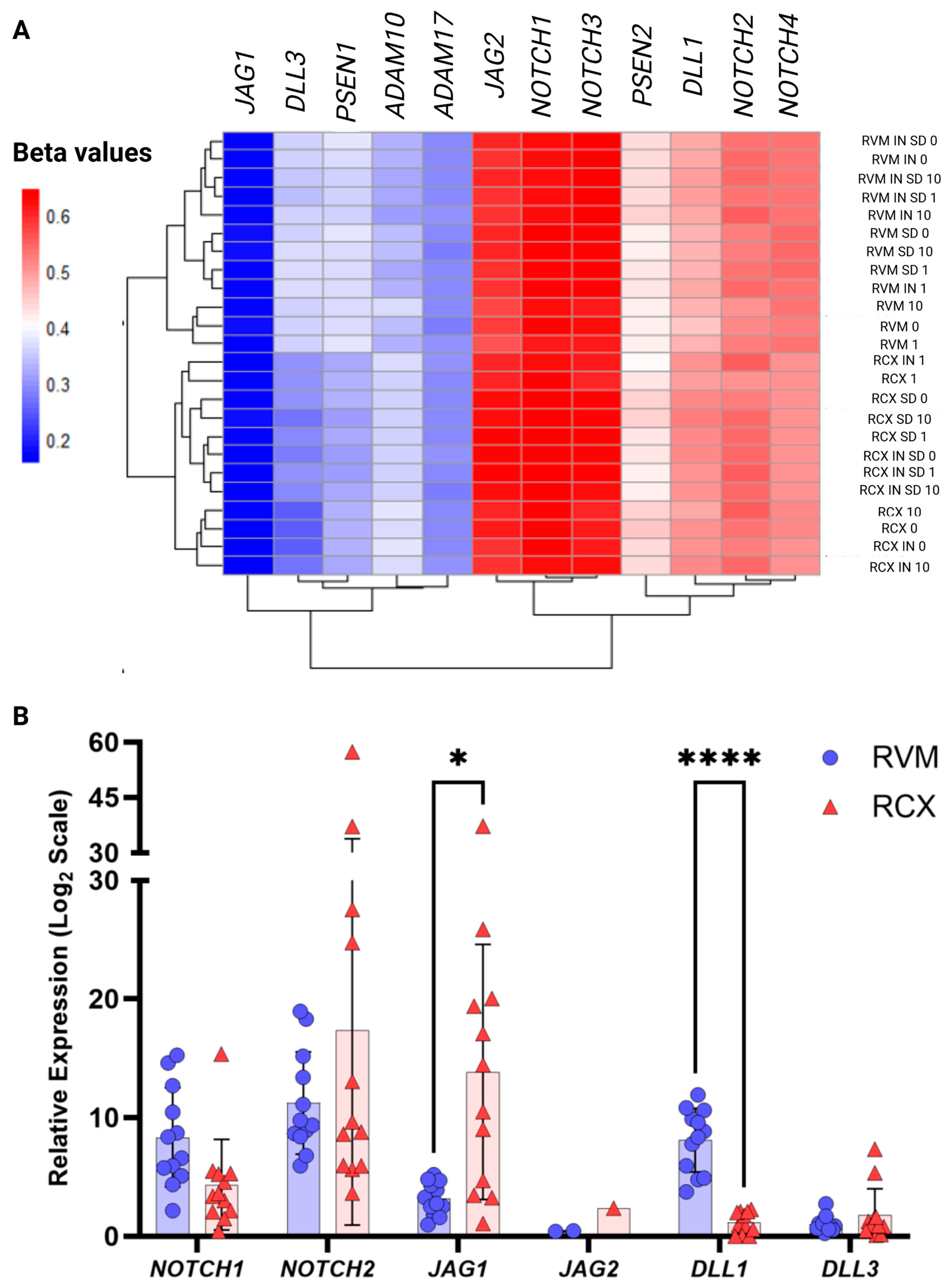 DNA Methylation Landscape of ReNcell Common Neural Progenitor Cell ...