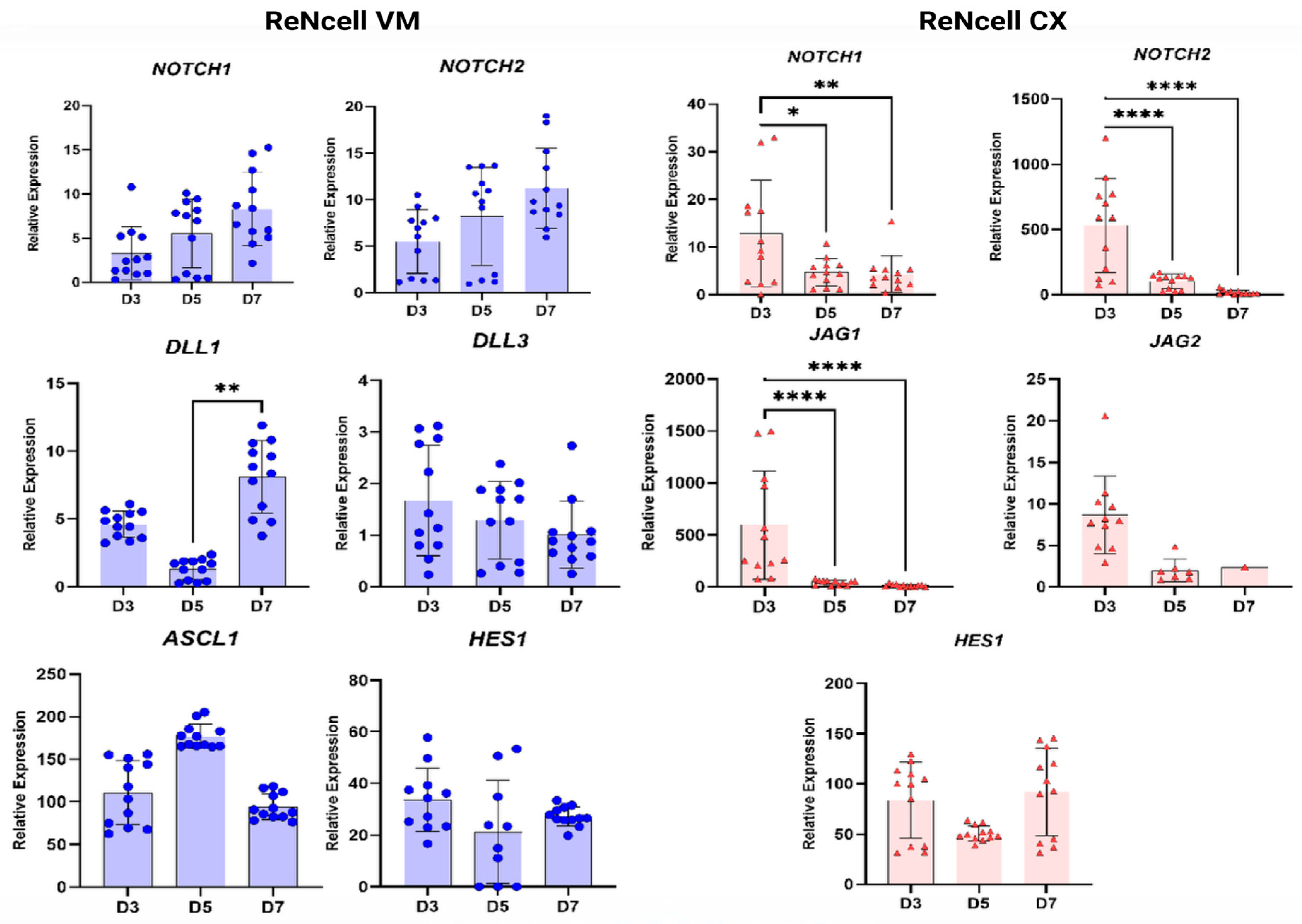DNA Methylation Landscape of ReNcell Common Neural Progenitor Cell ...