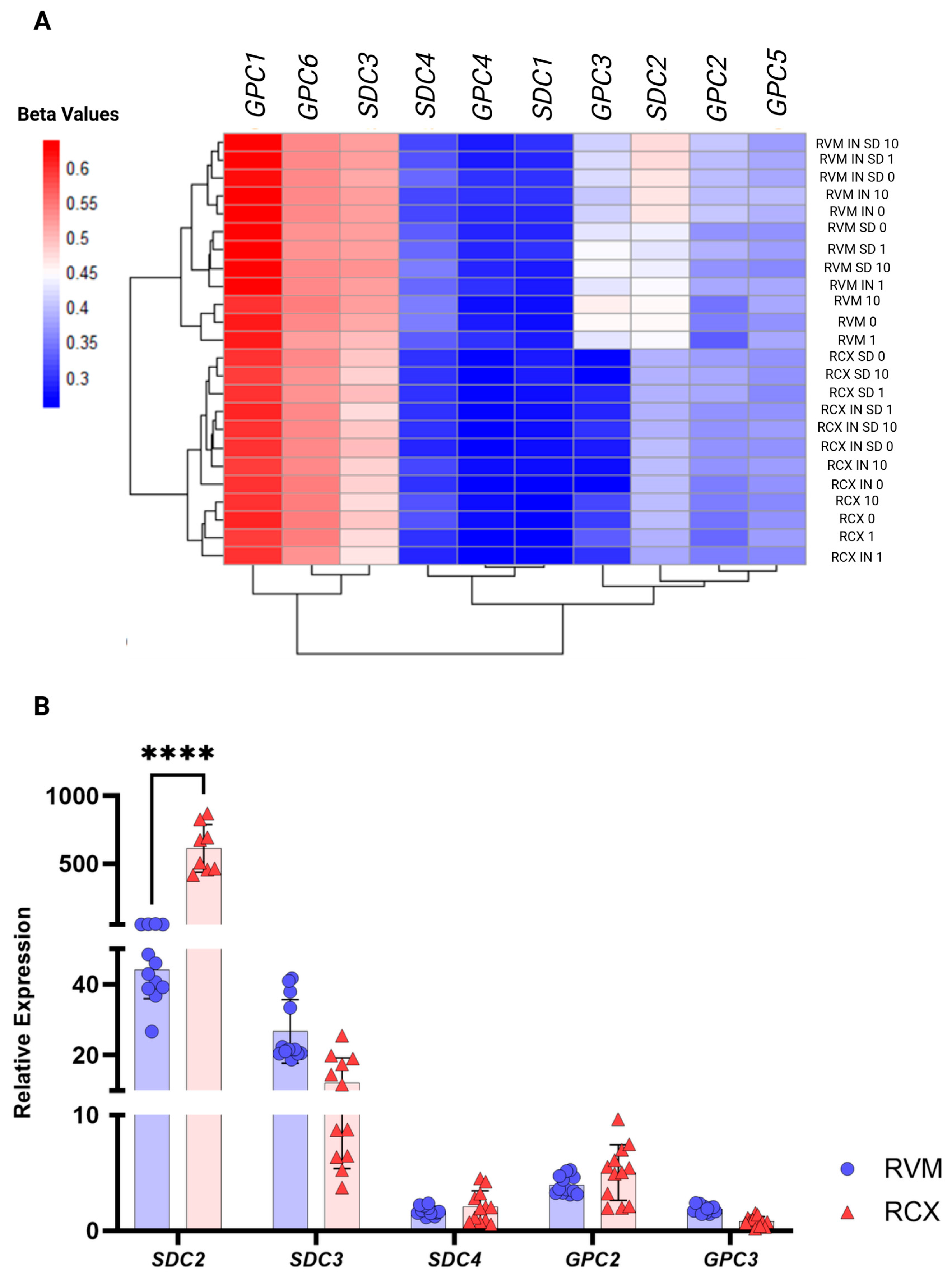 DNA Methylation Landscape of ReNcell Common Neural Progenitor Cell ...