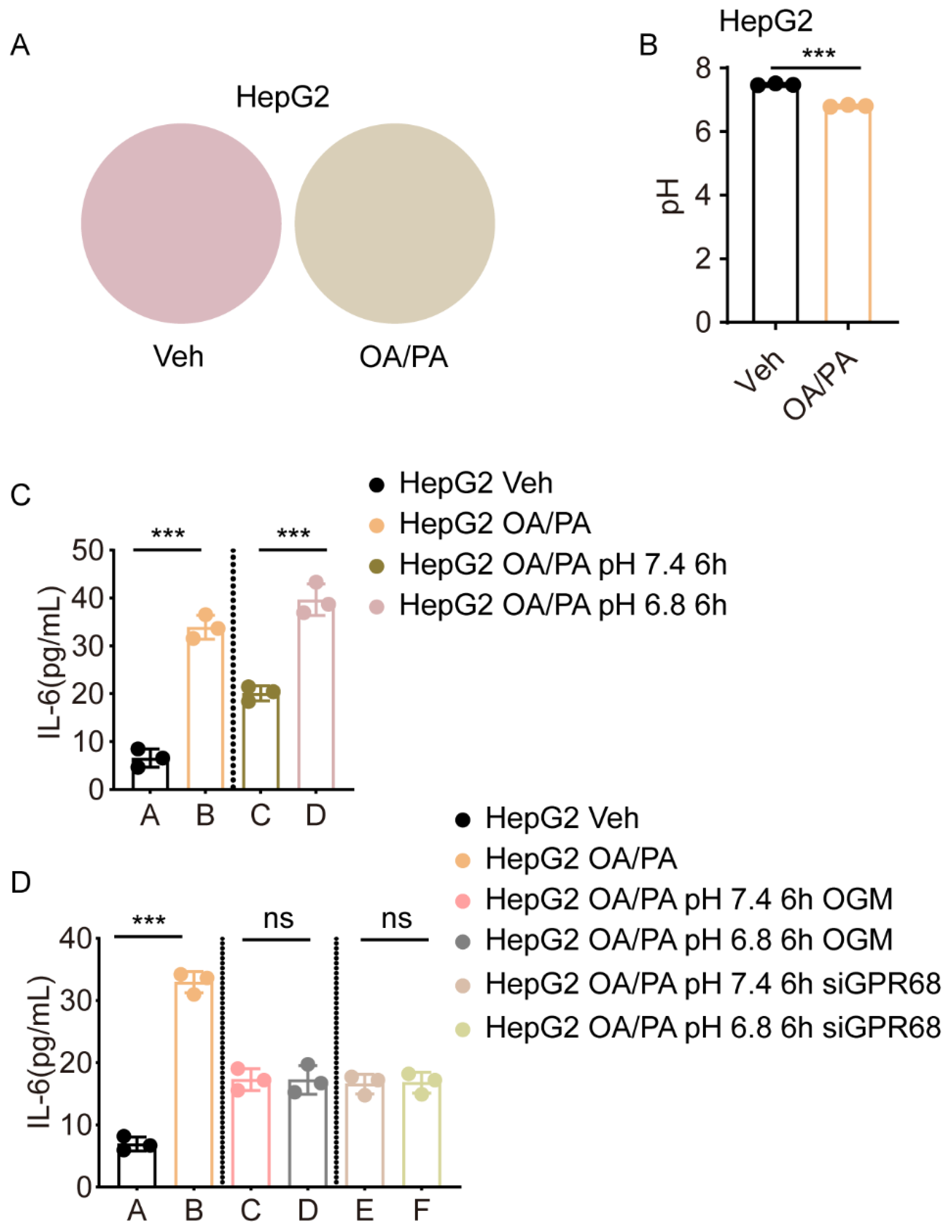 Targeting GPR68 Alleviates Inflammation and Lipid Accumulation in ...