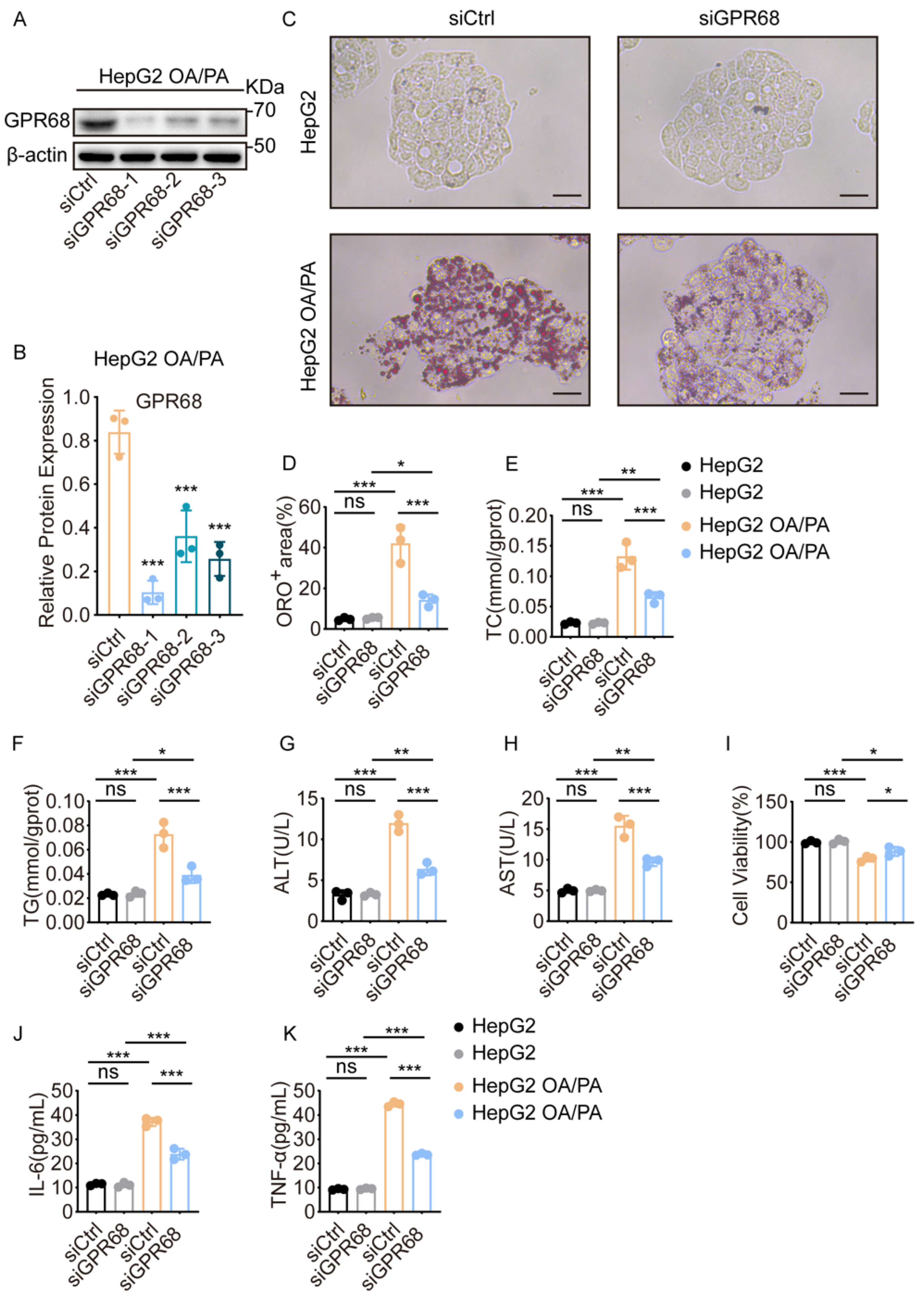 Targeting GPR68 Alleviates Inflammation and Lipid Accumulation in ...