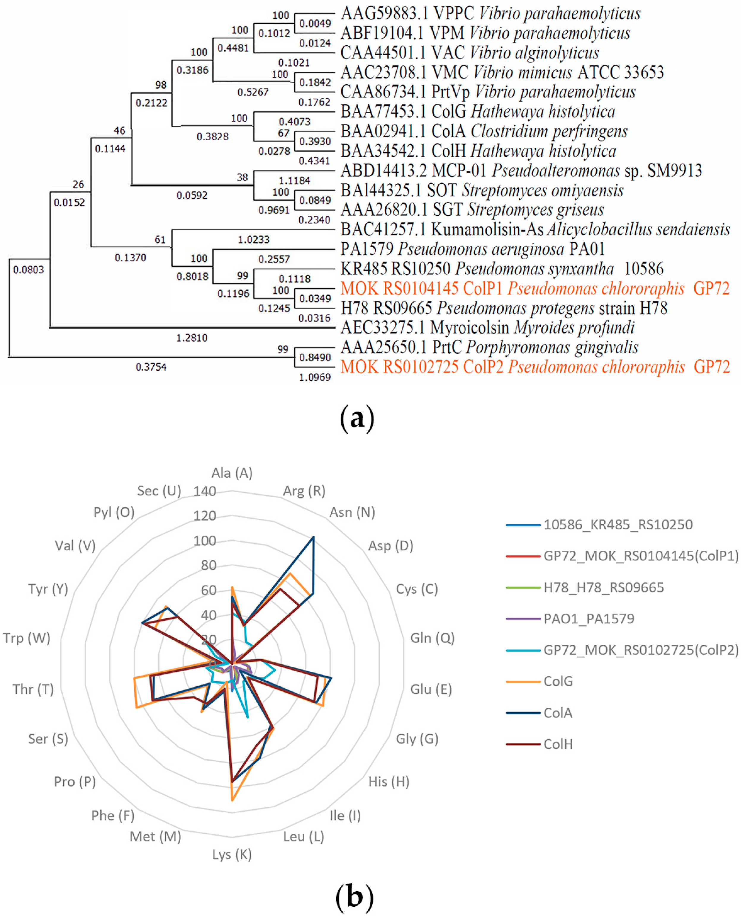 Heterologous Expression and Characterization of Collagenases from ...