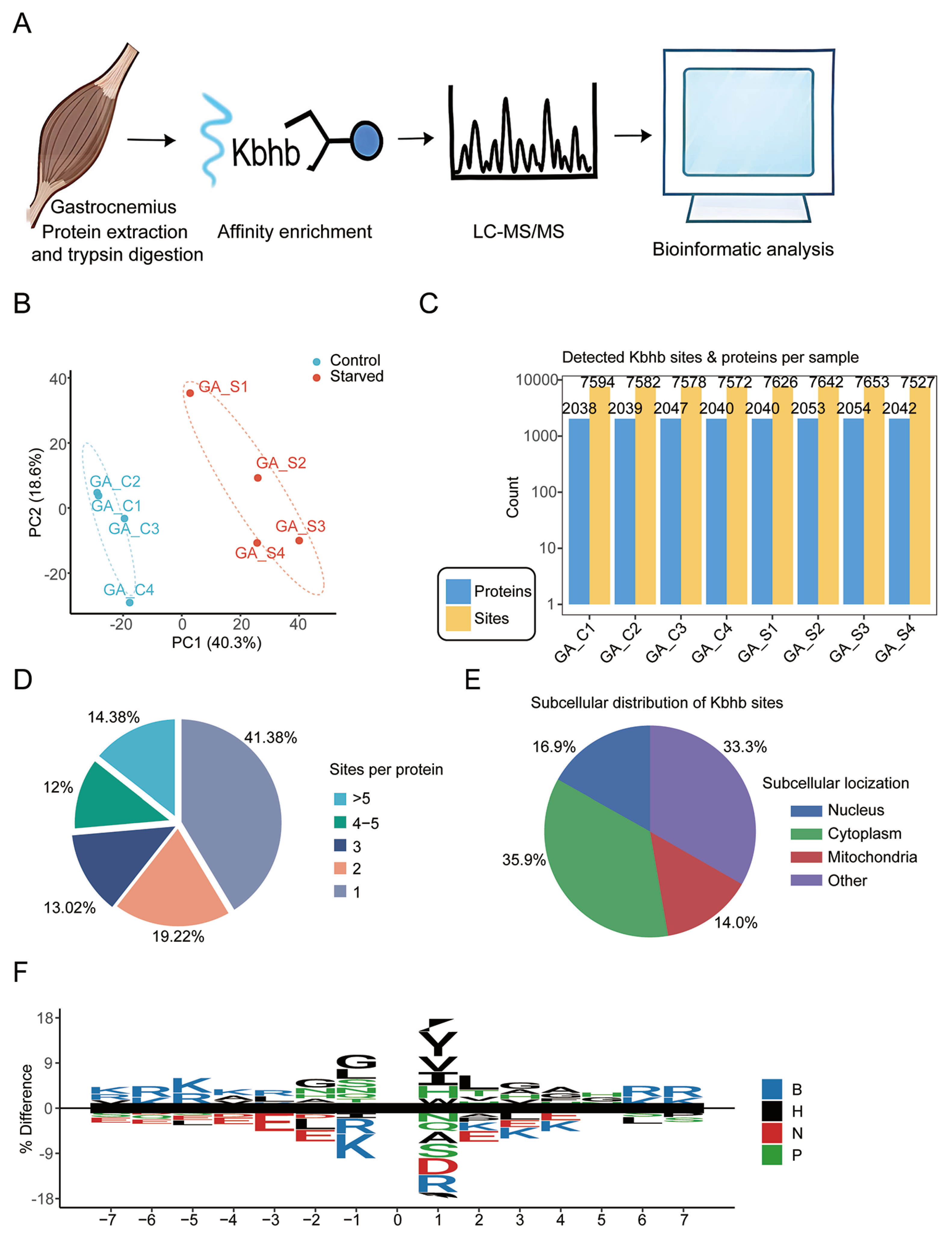 Comprehensive Proteomics and β-Hydroxybutyrylation Profiling in ...