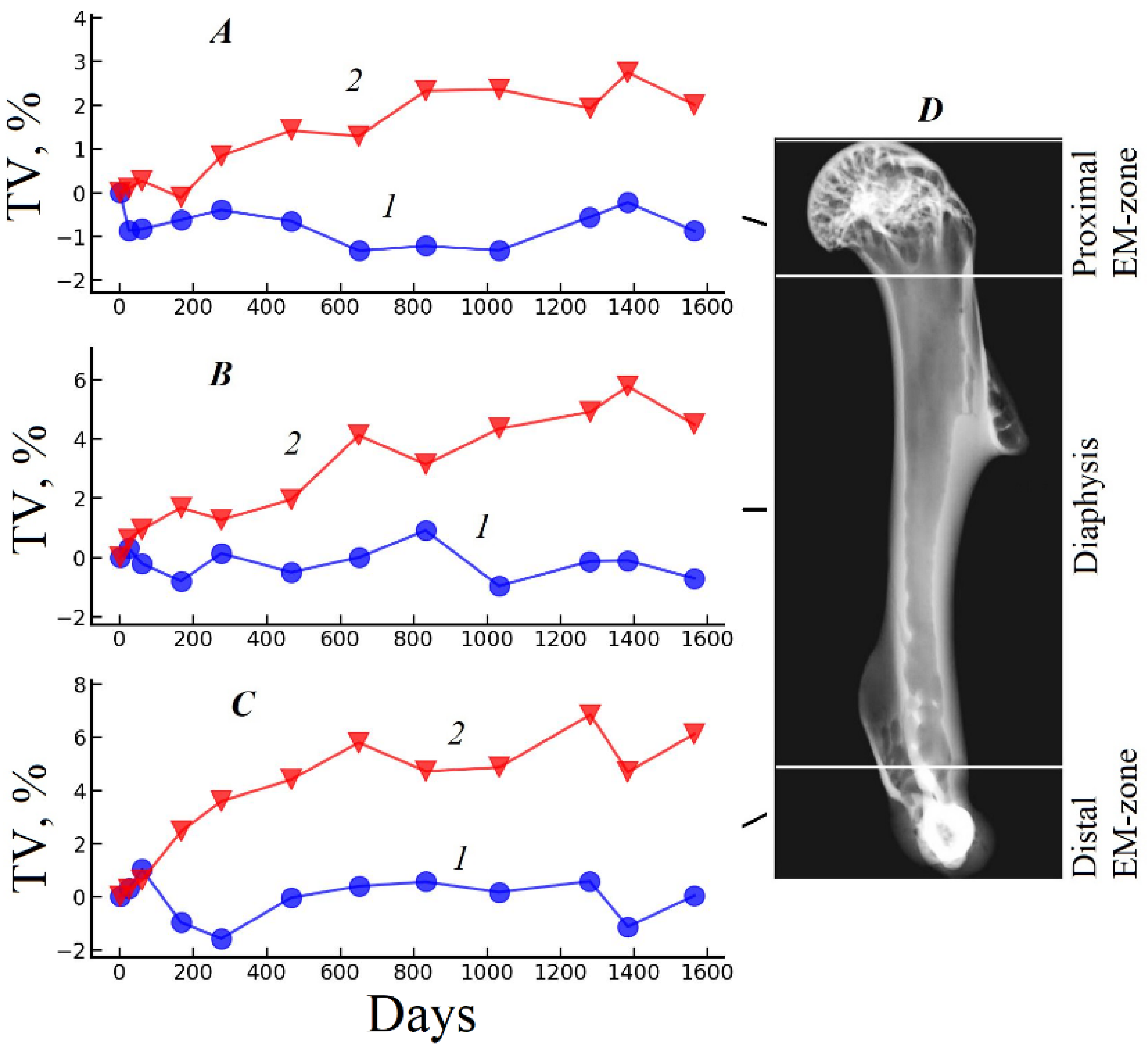 Effect of Fixative Solutions in Long-Term Bone Preservation