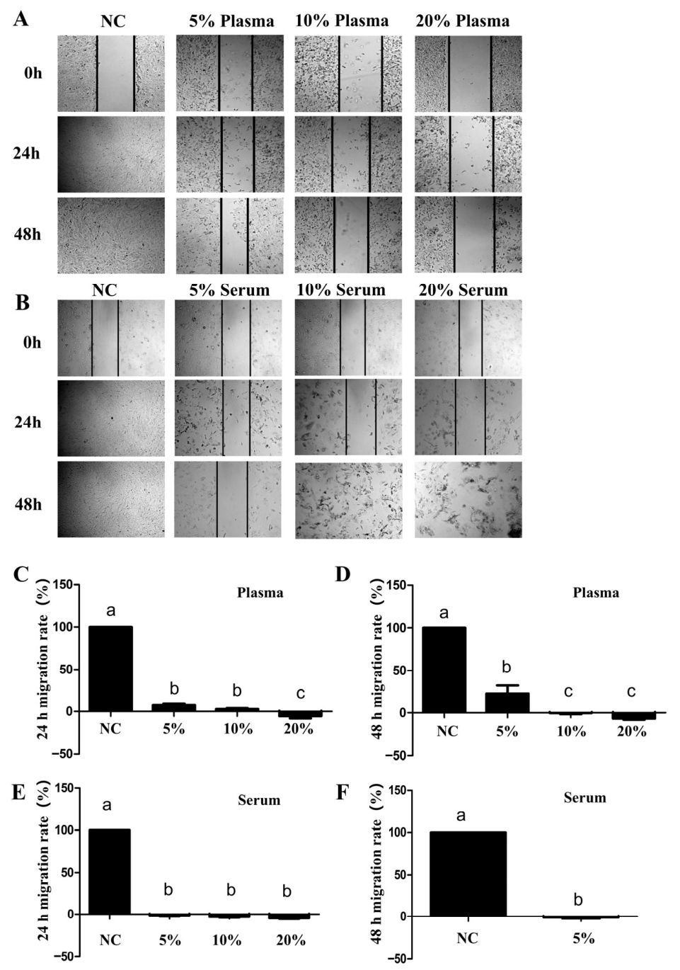 Transcriptomic and Metabolomic Profiling Reveals the Antiproliferative ...