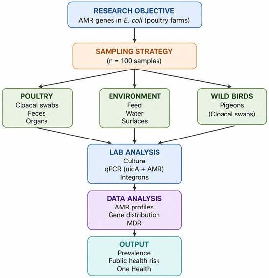 Occurrence and Antimicrobial Resistance Profiles of Escherichia coli ...