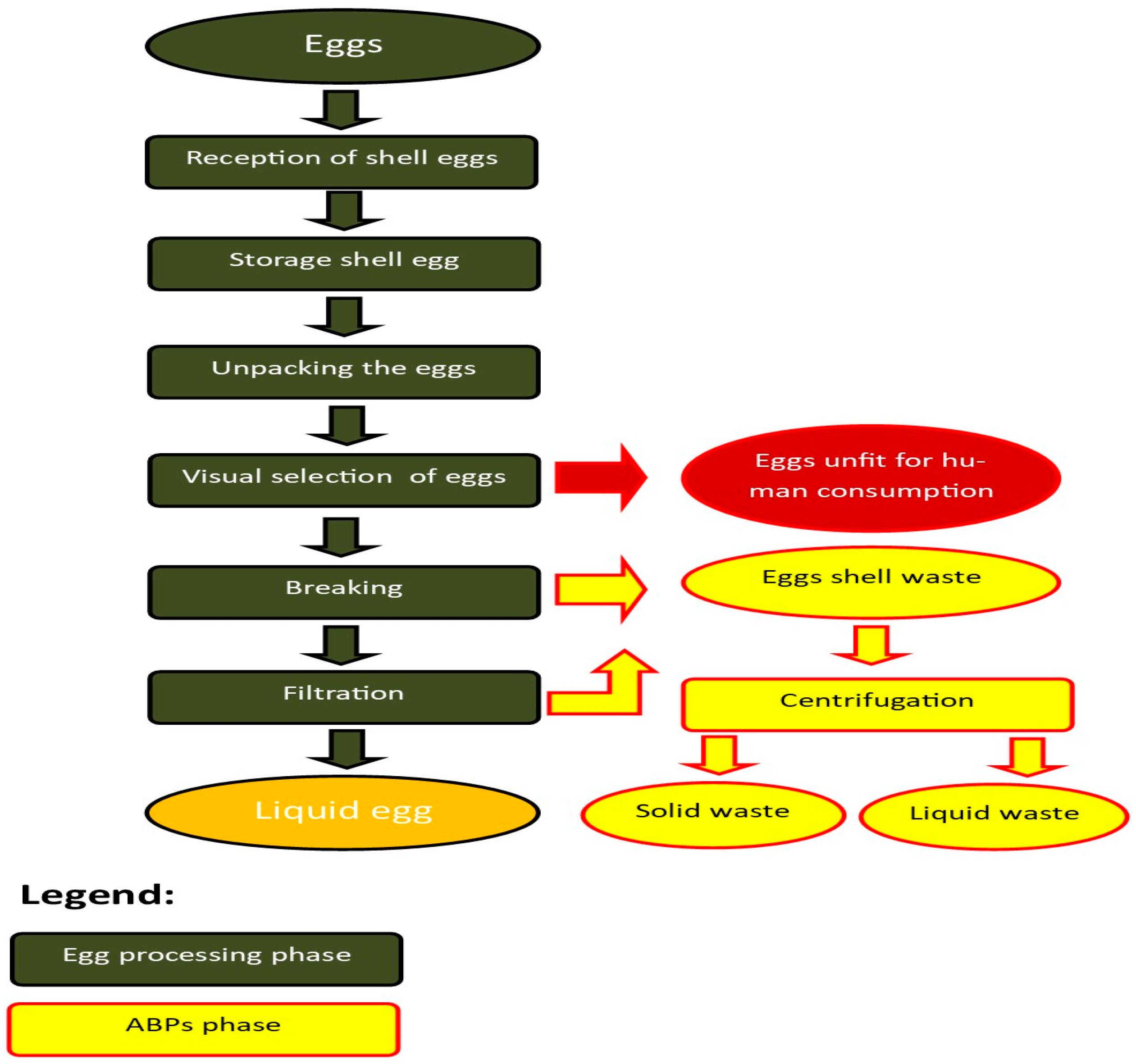Egg By-Products: Composition, Bioactive Potential, and Utilization in ...