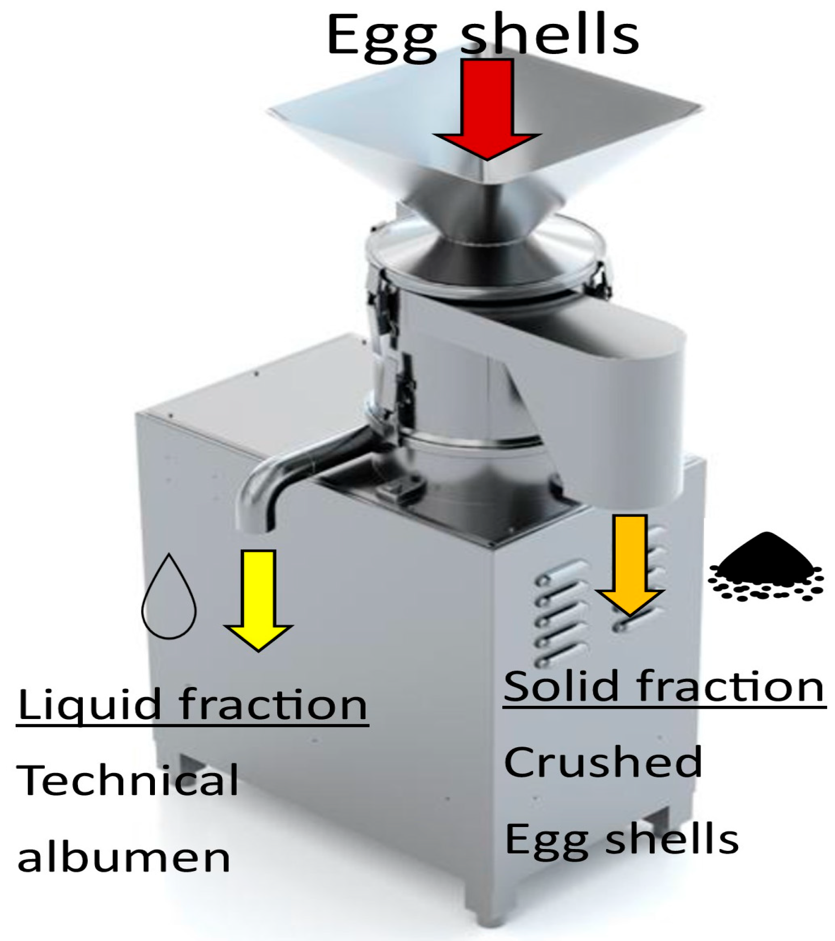 Egg By-Products: Composition, Bioactive Potential, and Utilization in ...