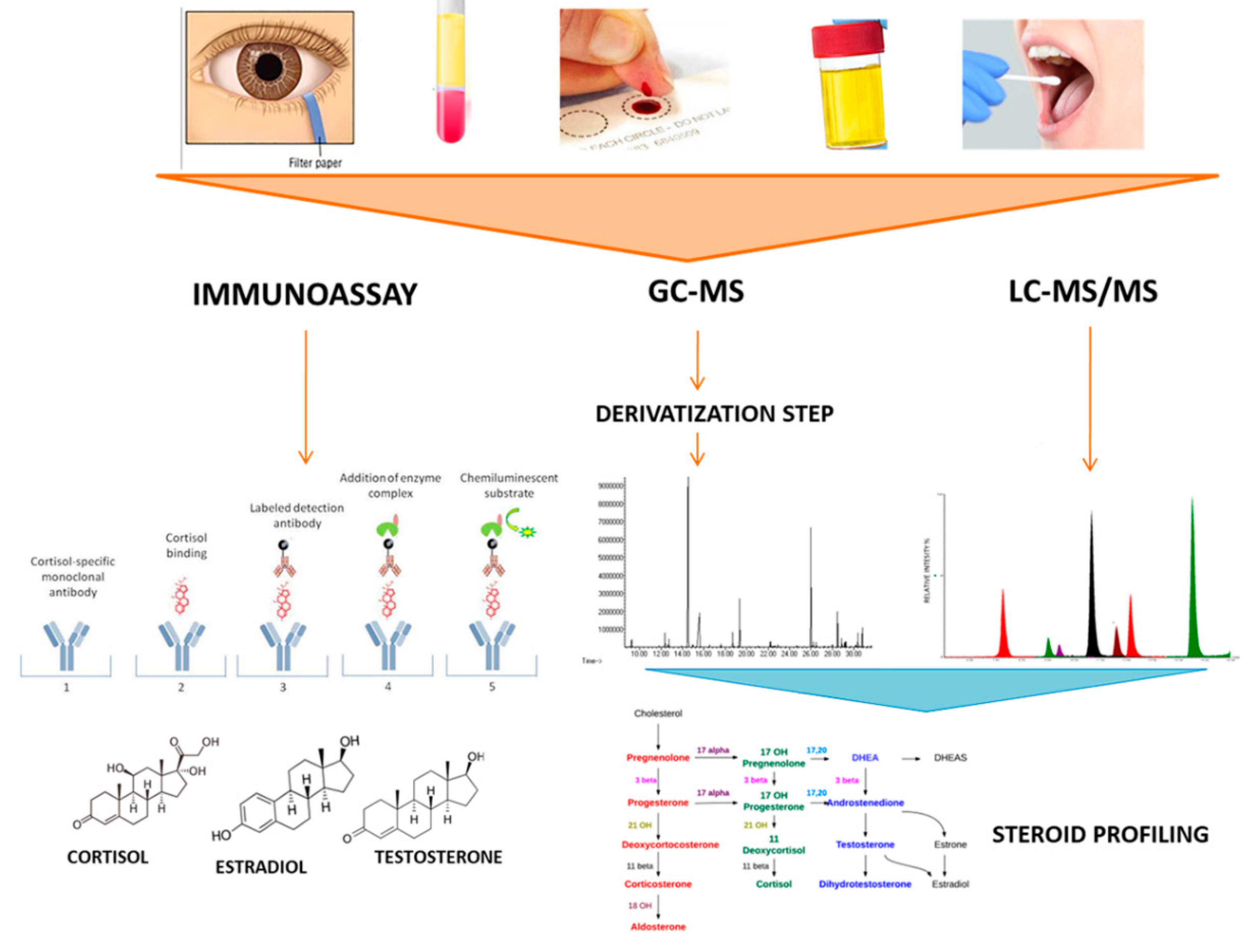 Biomedicines Free Full Text The Potential Of Steroid Profiling By Biomedicines Free Full Text The Potential Of Steroid Profiling By
