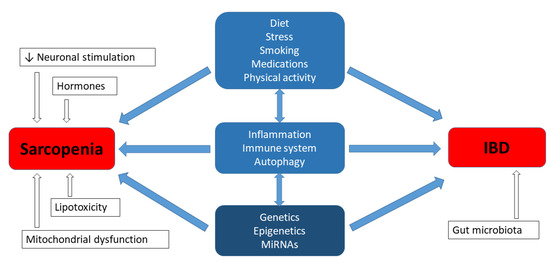Myostatin and Follistatin—New Kids on the Block in the Diagnosis of ...
