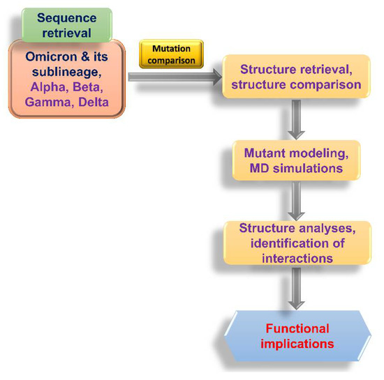 Continued Complexity of Mutations in Omicron Sublineages