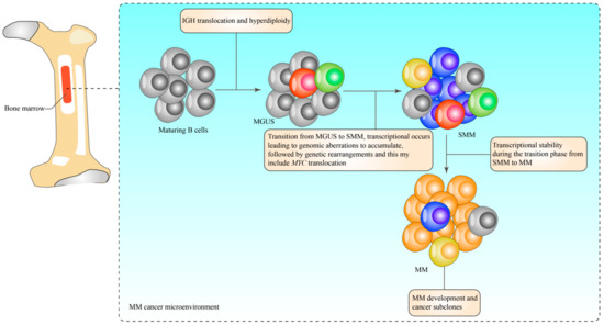 The Role of Epigenetics in the Development and Progression of Multiple ...