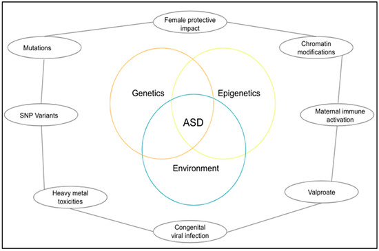 Autism Spectrum Disorders: A Recent Update on Targeting Inflammatory ...