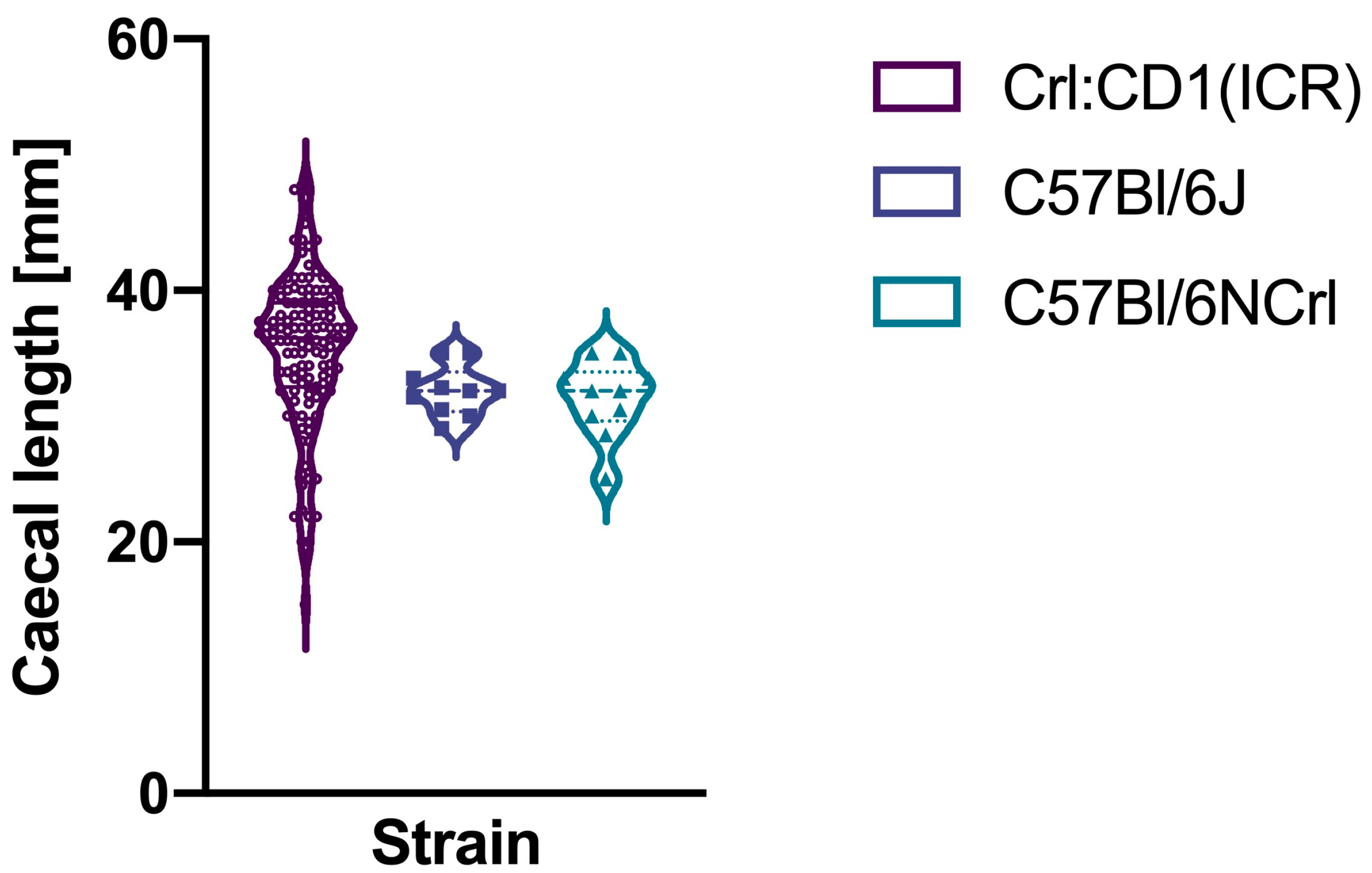 Shortcoming of the Mouse Model of Postoperative Ileus: Small Intestinal ...