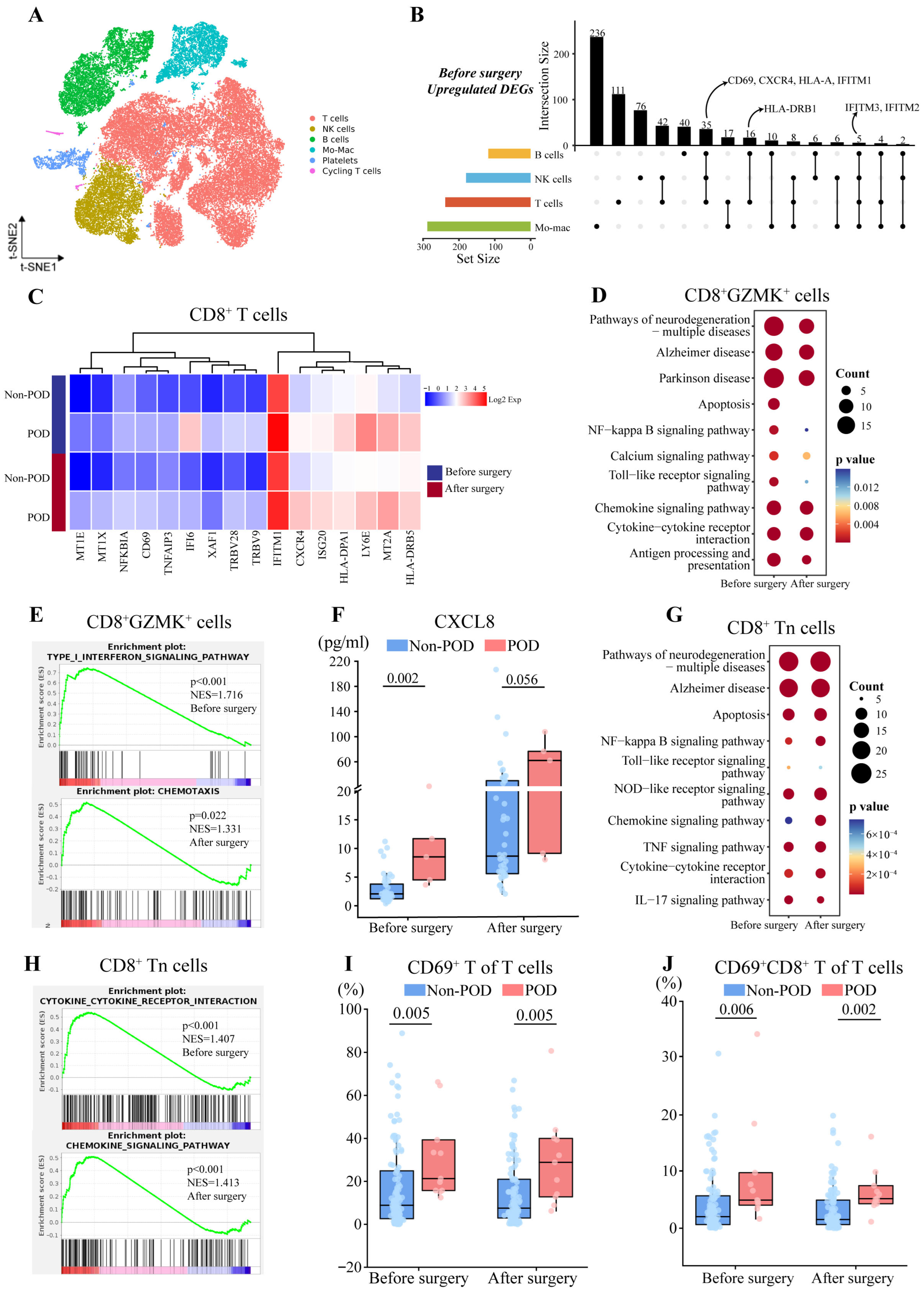 Perioperative Profiles of Immune Cells in Patients with Postoperative ...