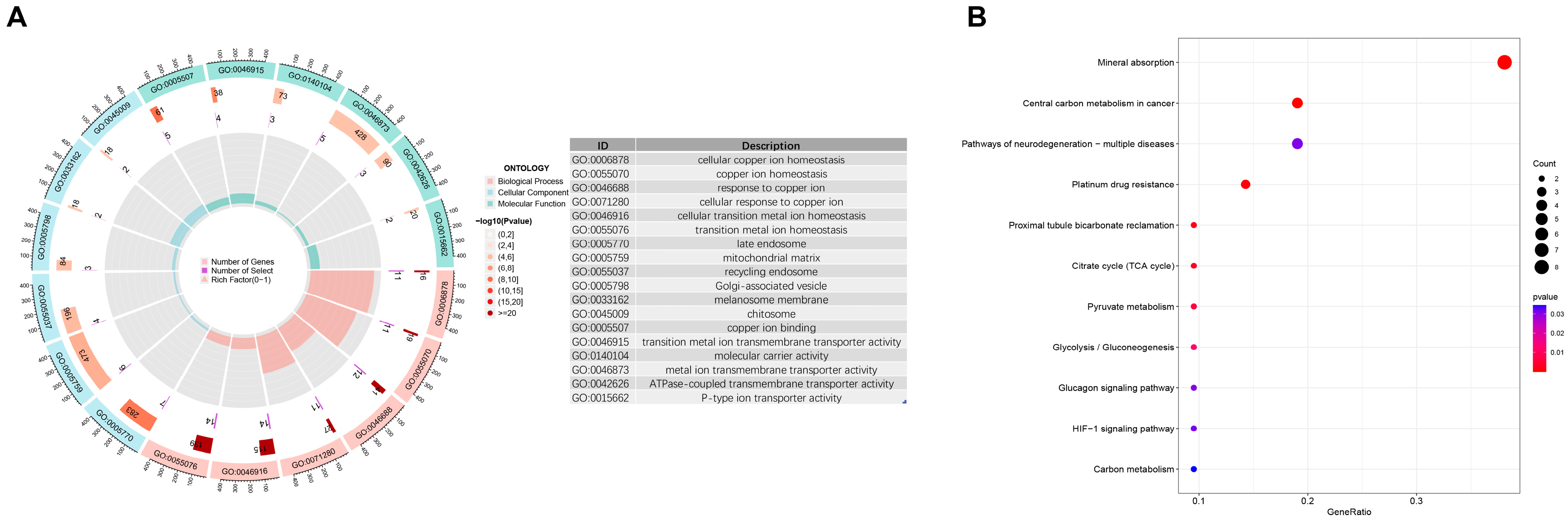 Analysis of the Correlation Between Cuproptosis and Instability of ...