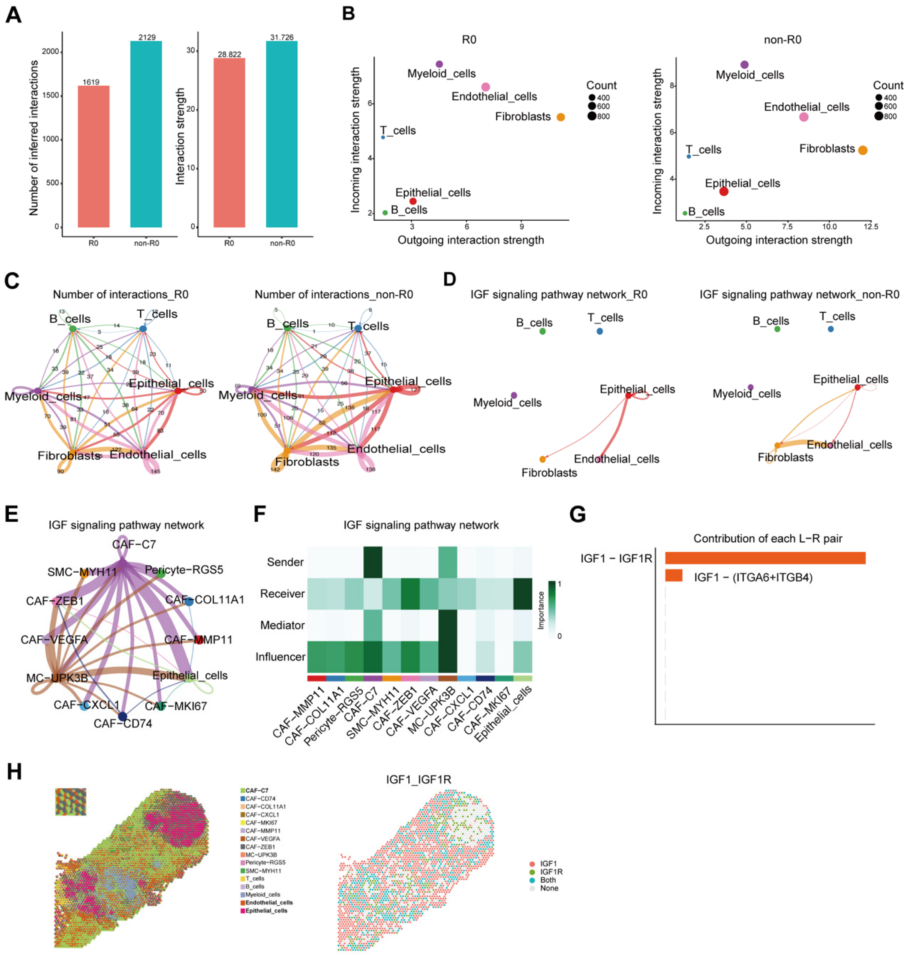 Single-Cell Analysis Links C7+ Cancer-Associated Fibroblasts with ...
