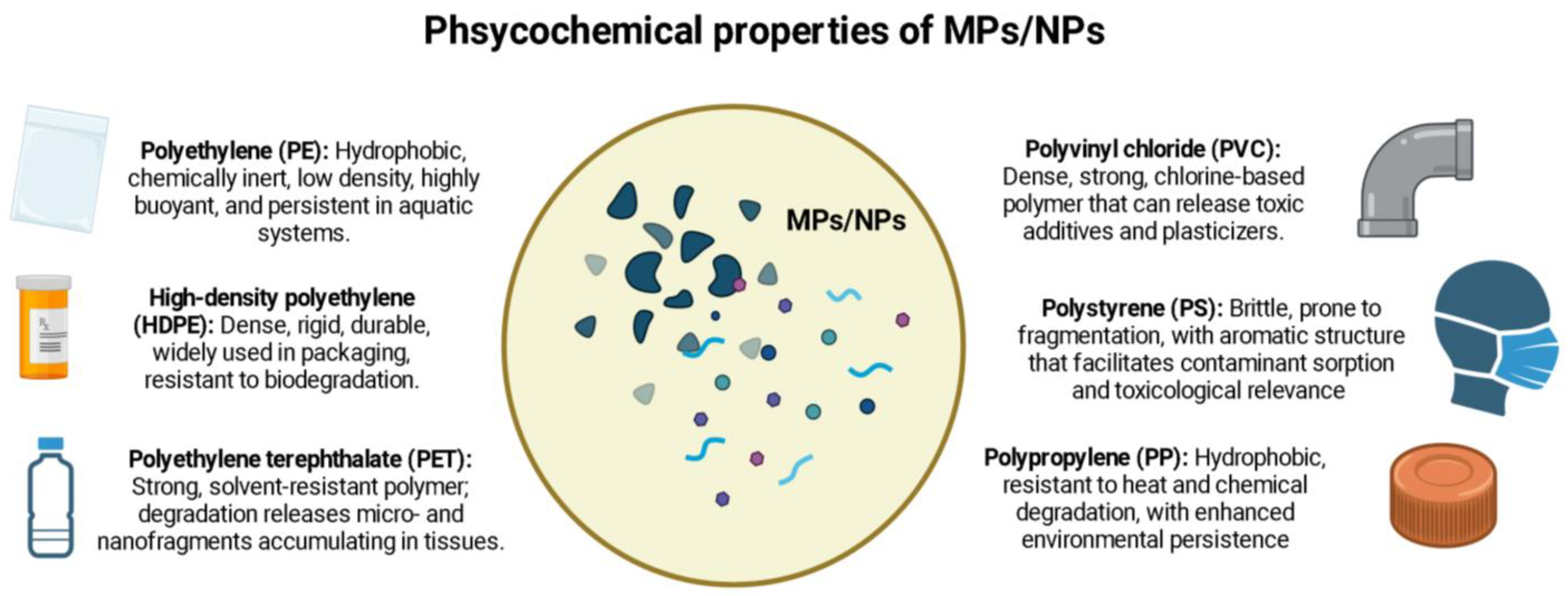 Microplastics and Nanoplastics in Cancer Progression: Biology and ...