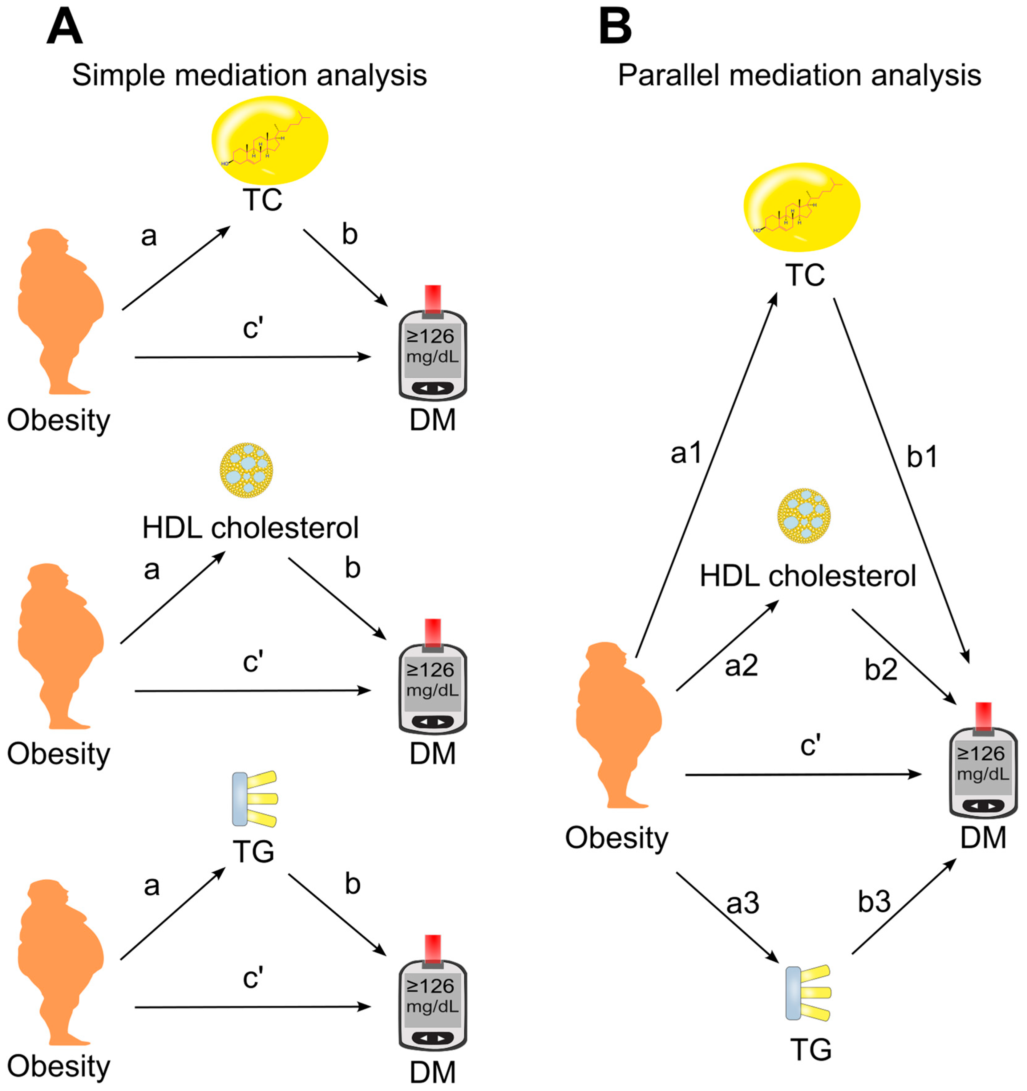 Role of Circulating Lipids in Mediating the Diabetogenic Effect of Obesity