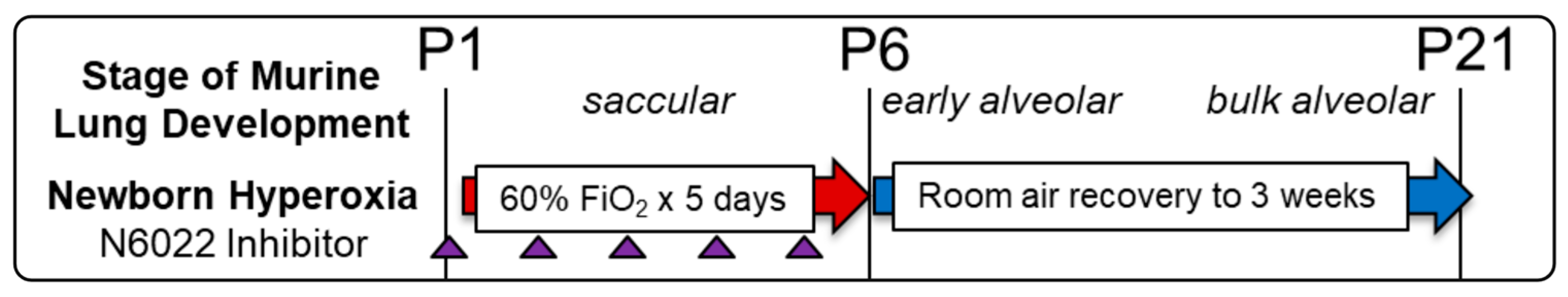 Pharmacologic Inhibition of S-Nitrosoglutathione Reductase Prevents ...