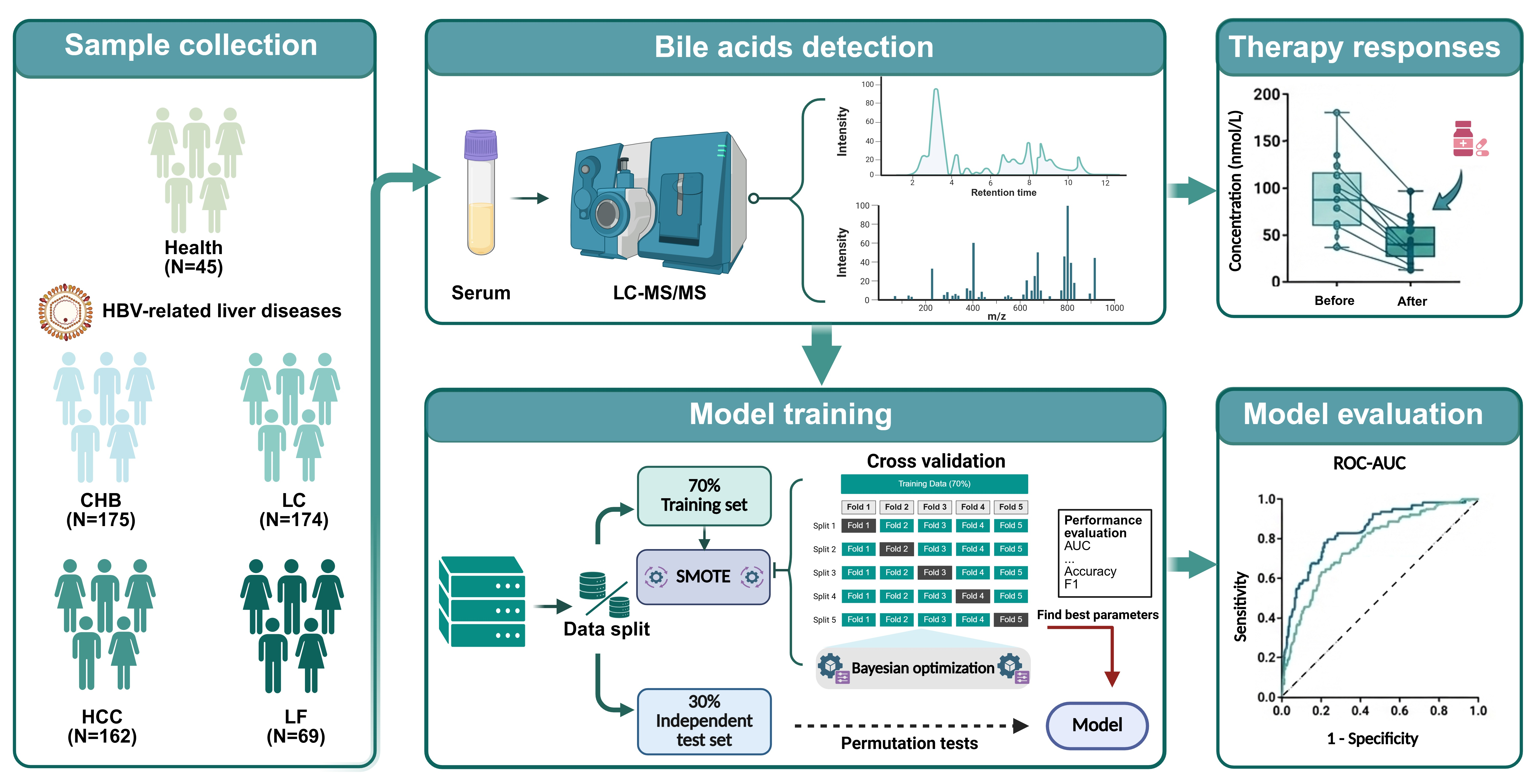 Serum Bile Acid Profiling Across the Full Spectrum of HBV-Related Liver ...