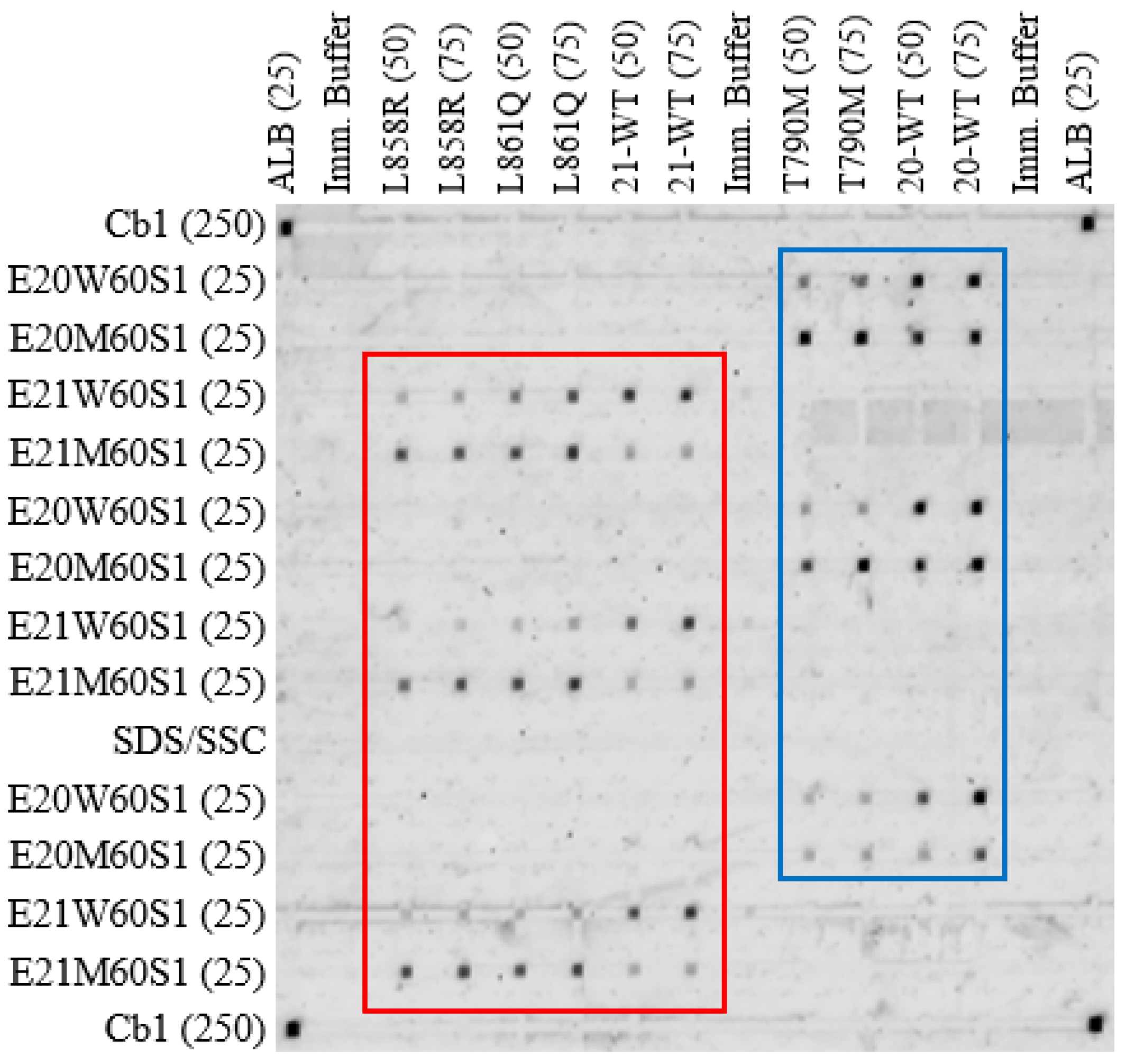 Detecting EGFR Gene Mutations on a Nanobioarray Chip