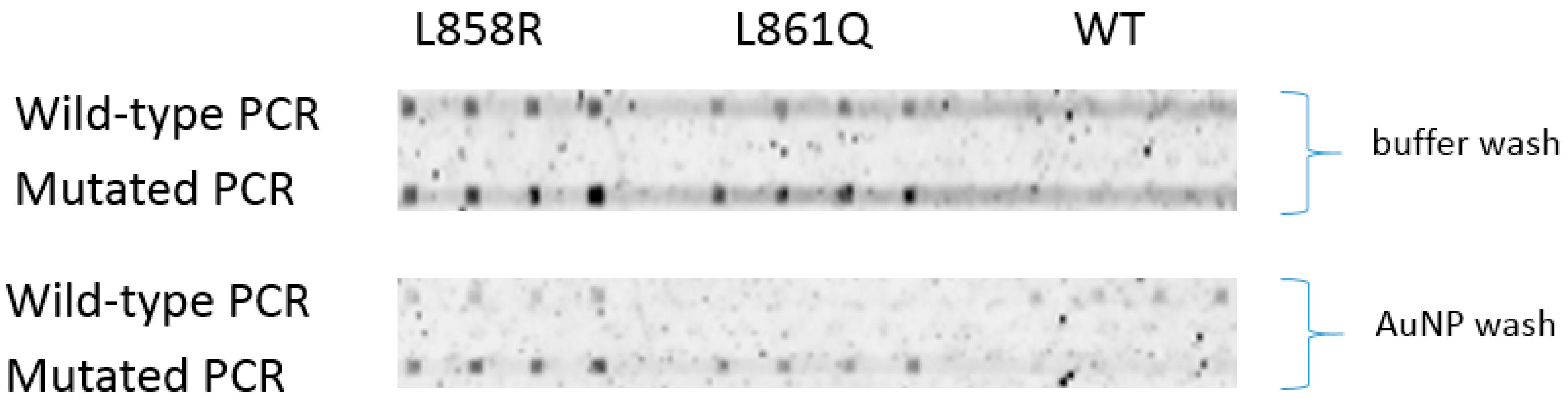Detecting EGFR Gene Mutations on a Nanobioarray Chip