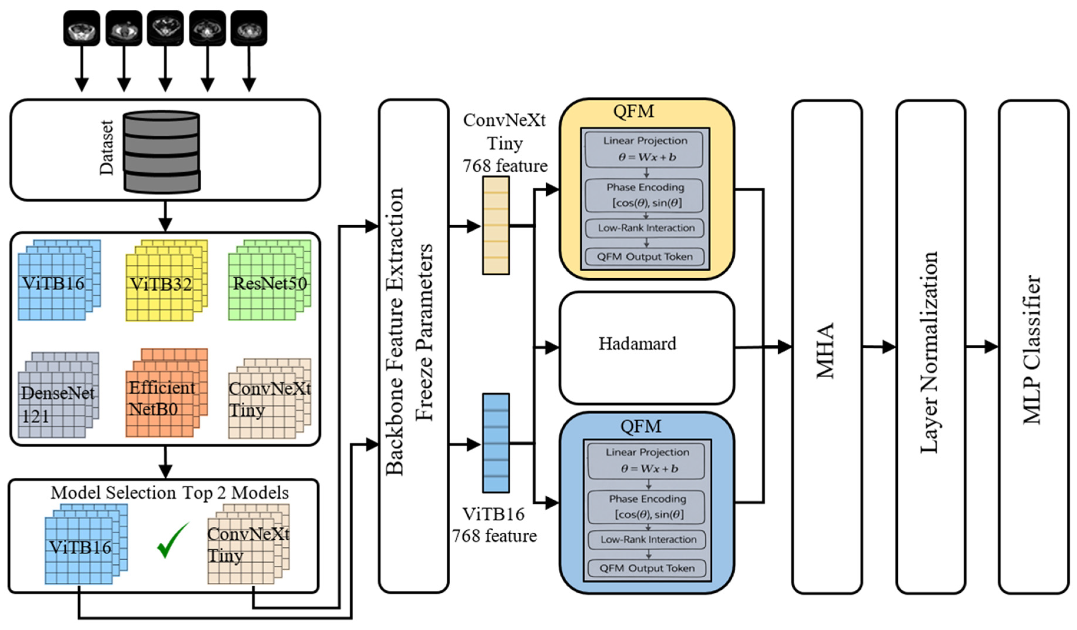 A Hybrid Model with Quantum Feature Map Based on CNN and Vision ...