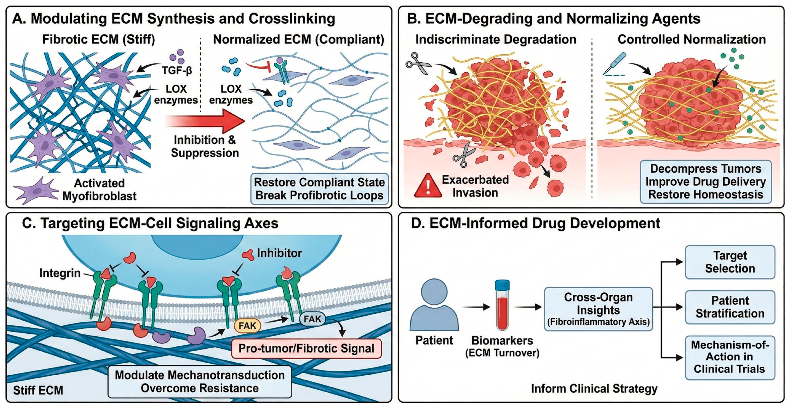 Extracellular Matrix in Human Disease and Therapy: From Pathogenic ...