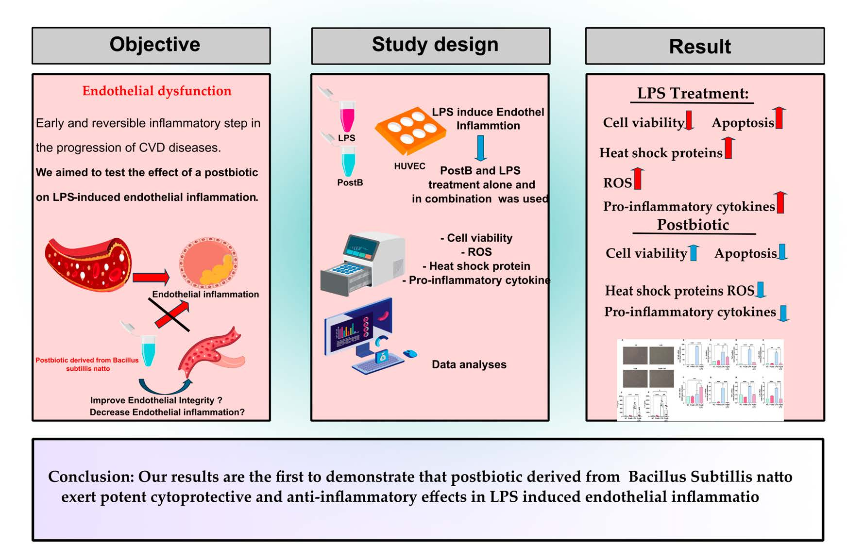 Deciphering the Role of Postbiotics Derived from Bacillus subtilis ...