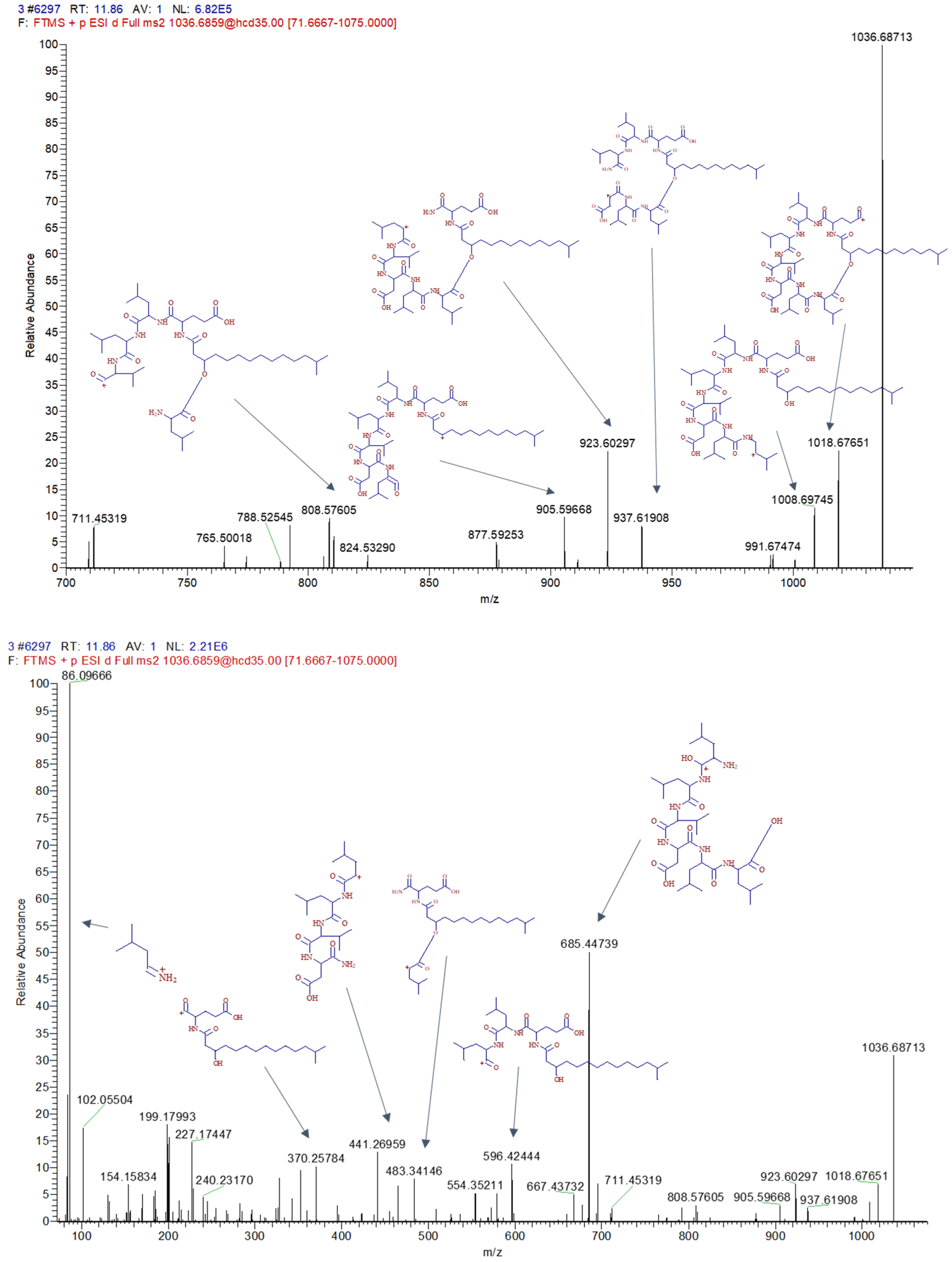 Deciphering the Role of Postbiotics Derived from Bacillus subtilis ...
