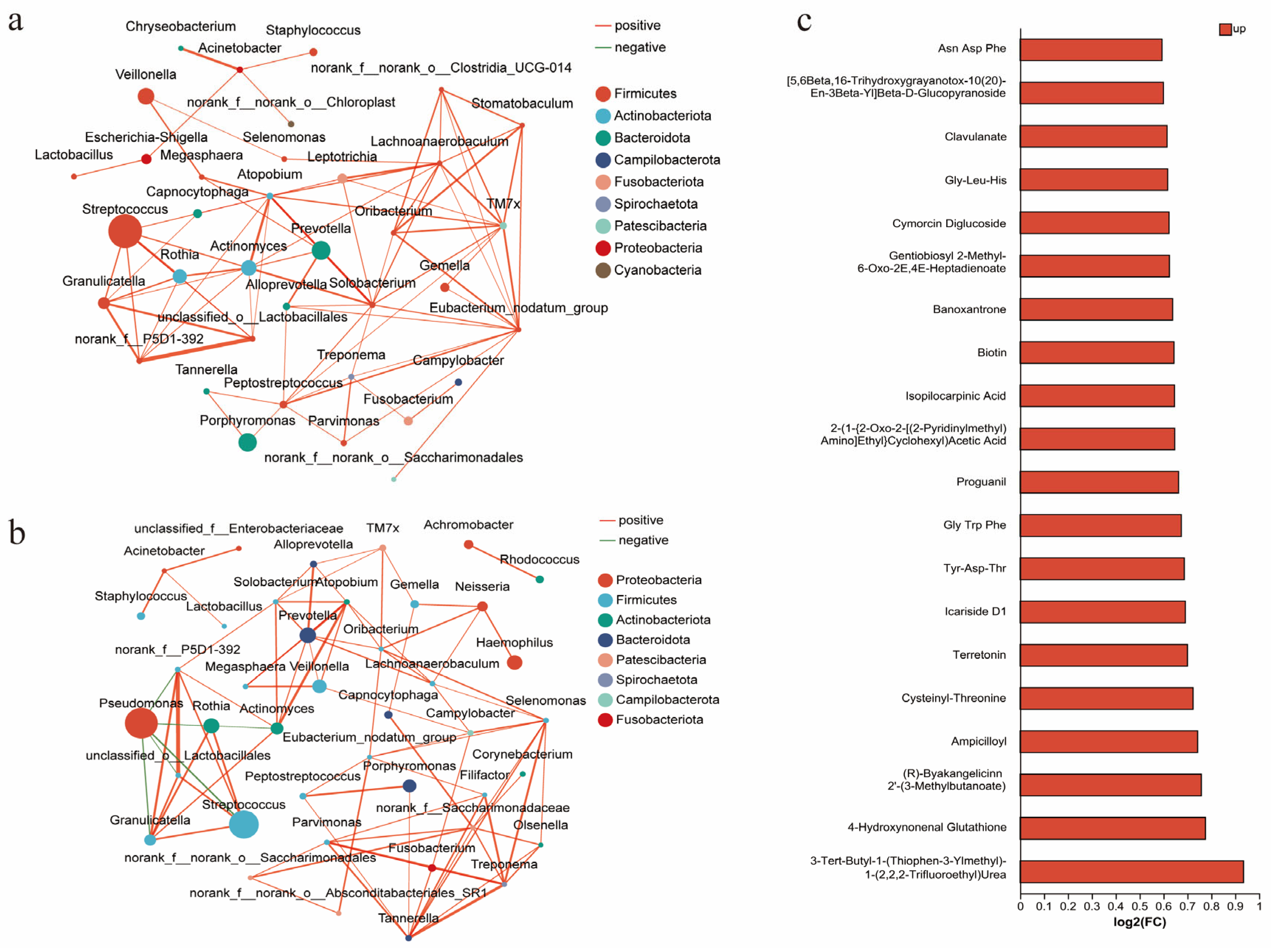 Radiological Phenotypes of Bronchiectasis Based on Airway Generation