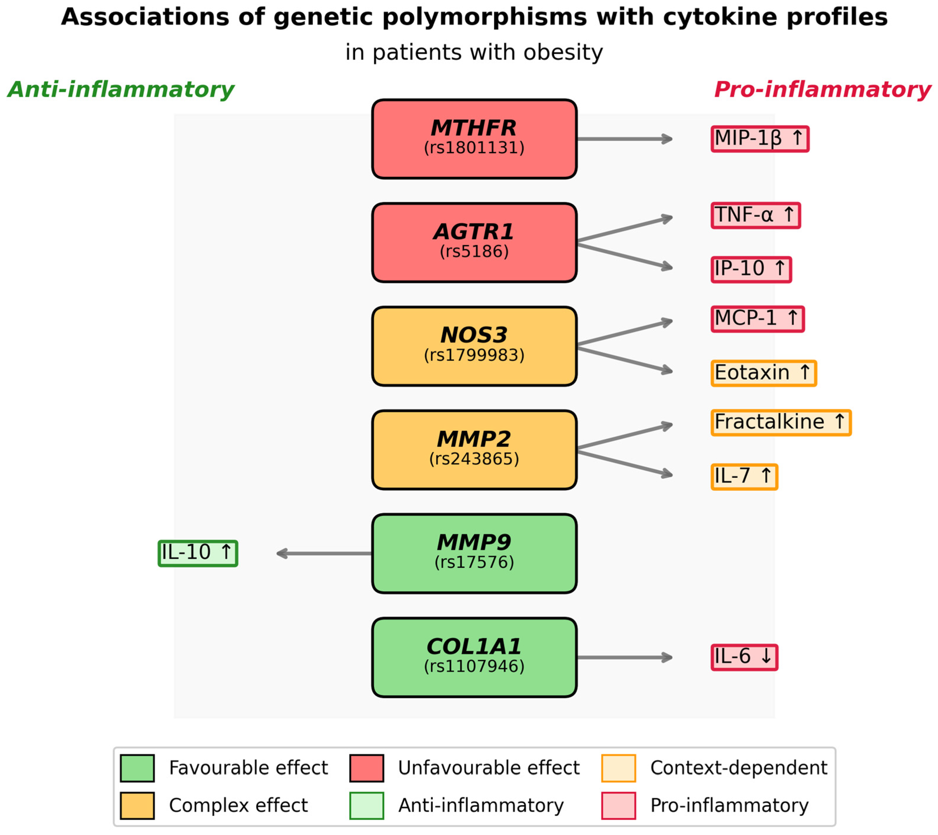Elucidating Genetic Drivers of Chronic Inflammation in Obesity