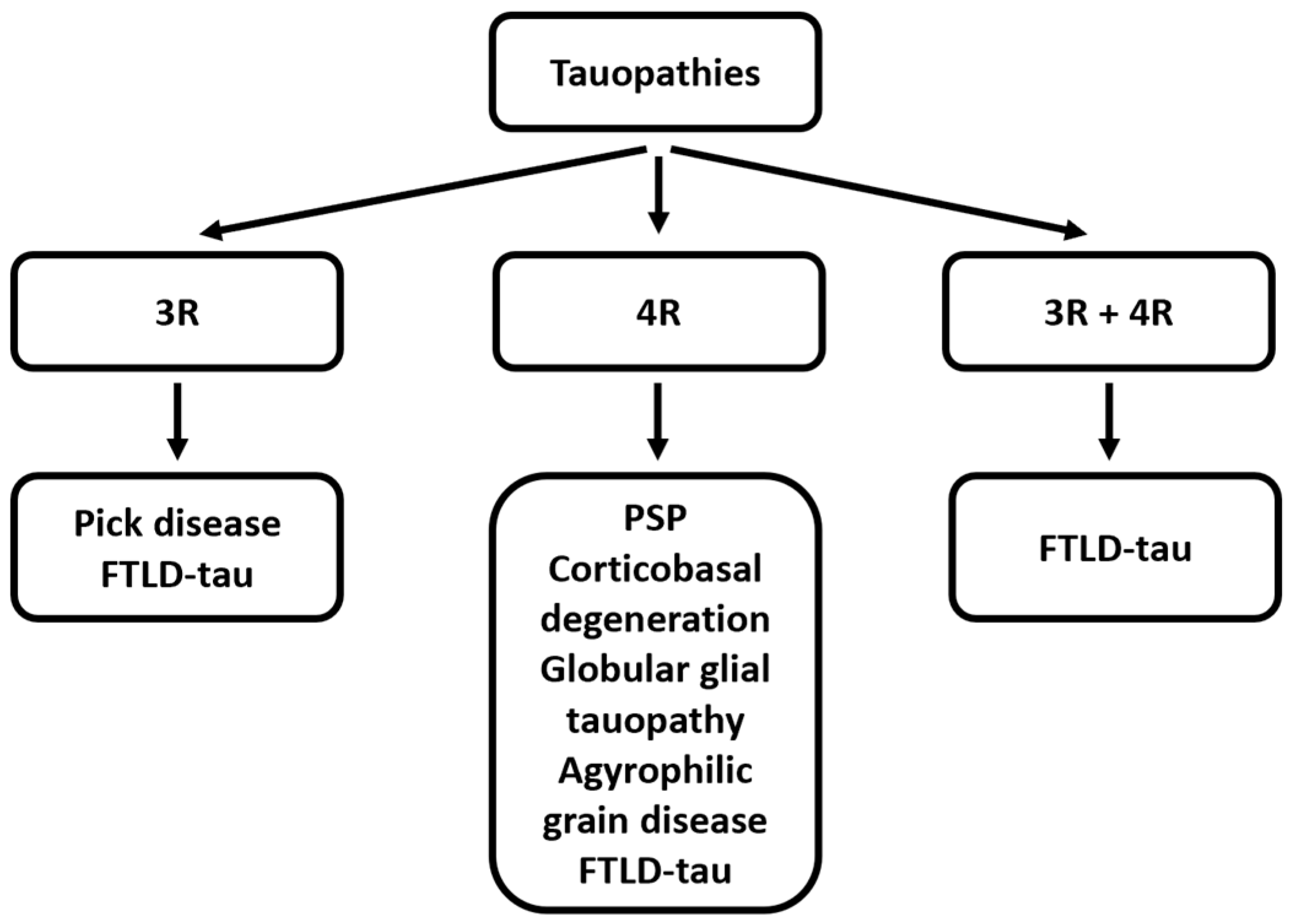 Tau Protein Aggregation Inhibitors—Therapeutic Strategy for Concurrent ...