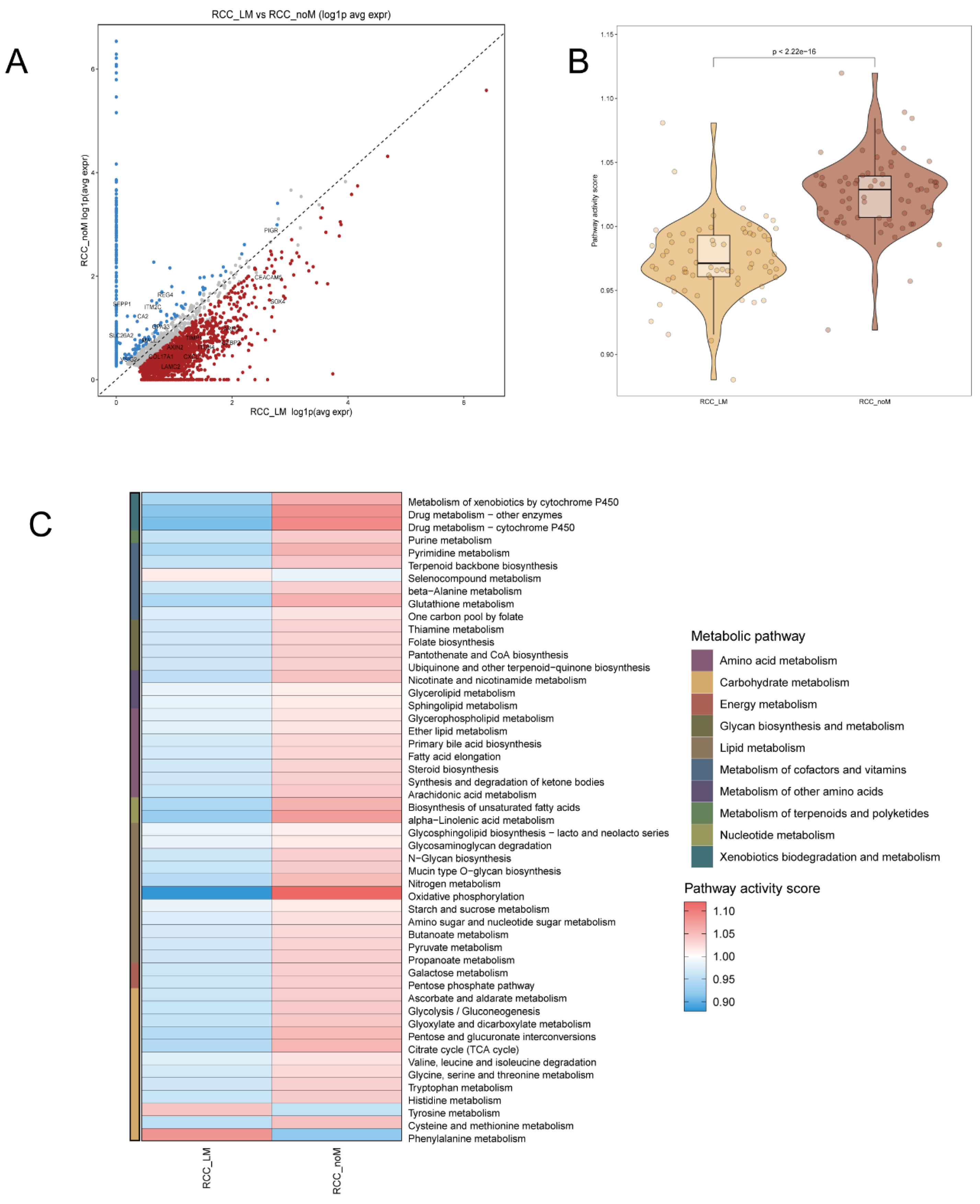 Single-Cell Transcriptomic Landscape of Right-Sided Colon Cancer ...